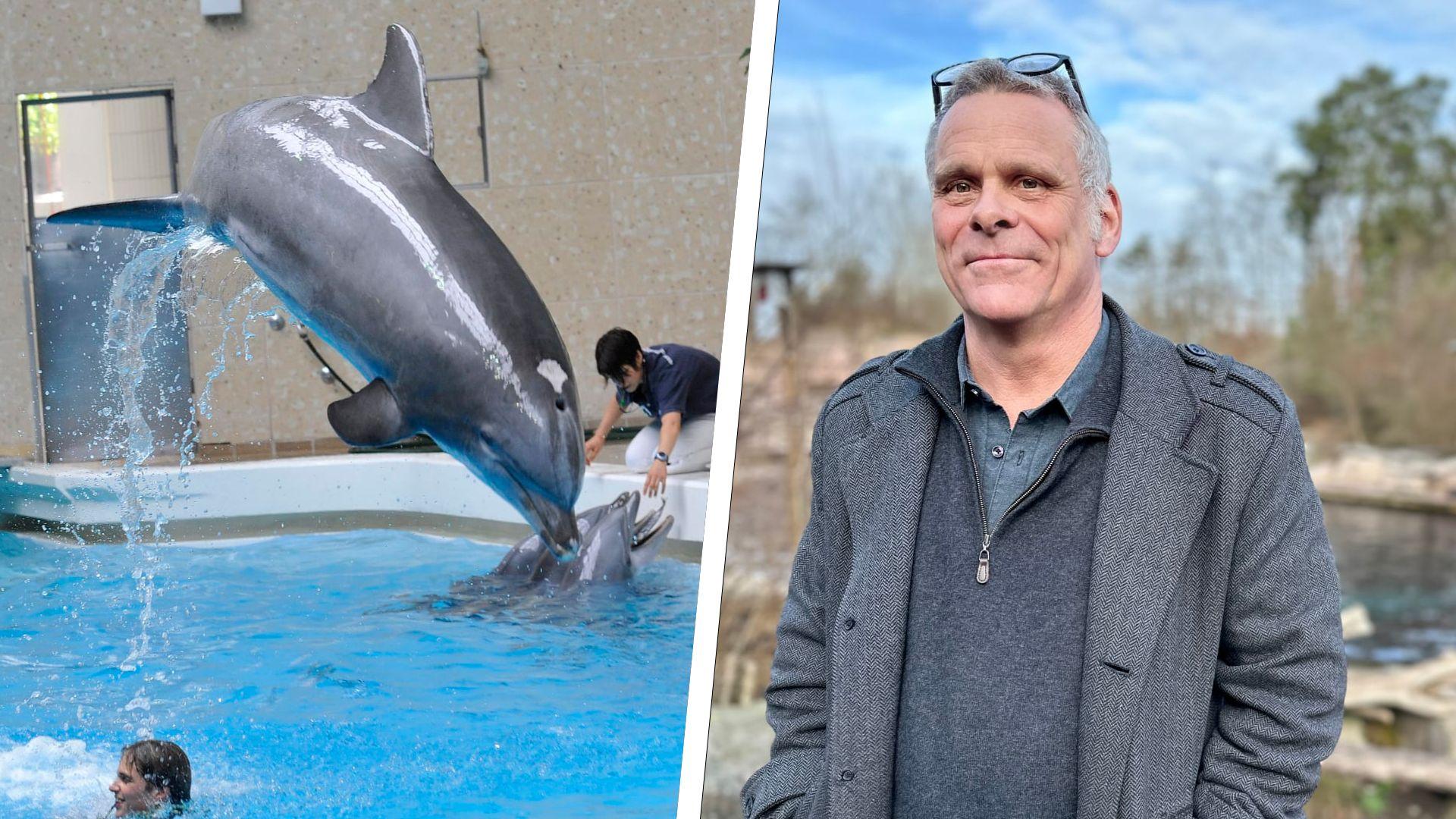 Delfinbabys sterben im Nürnberger Delfinarium: Tiergartenchef Dag Encke ...