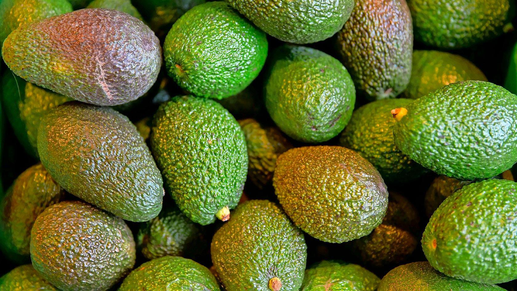 Umstrittene Superfrucht - Avocado-Boom in Deutschland