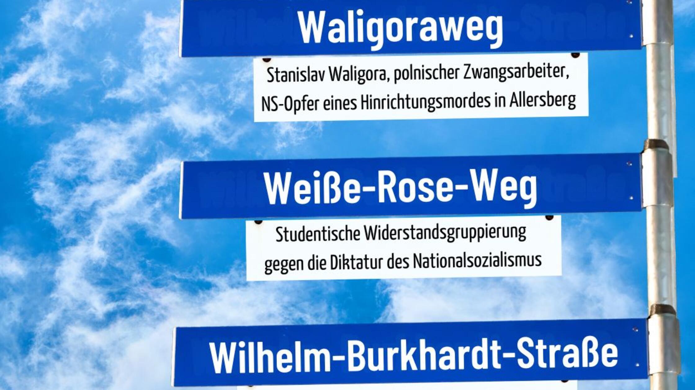 „Nazi-freies Allersberg“: Gruppe montiert neue Straßenschilder in der ...