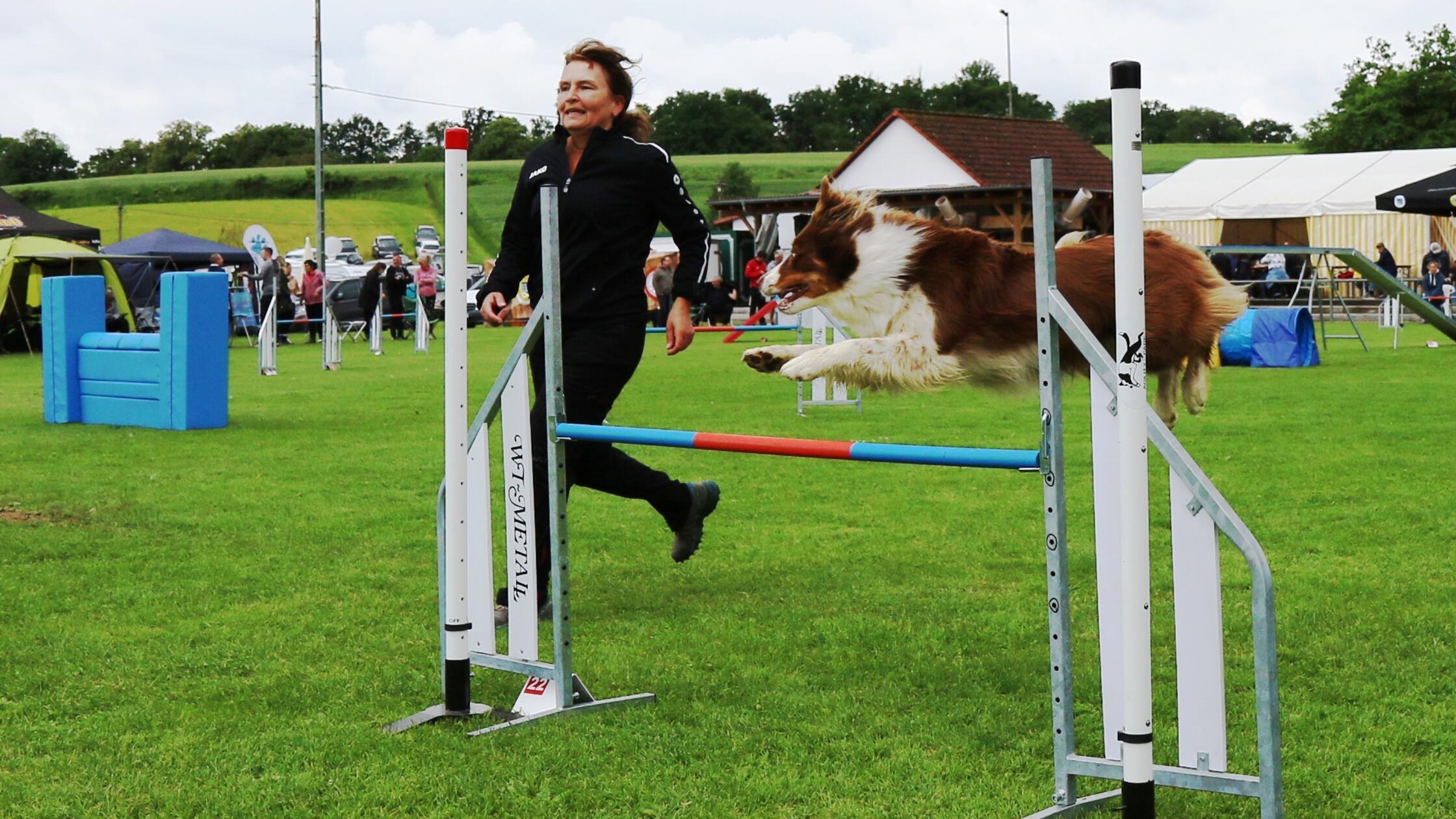 Pommersfelden wird beim Agility Turnier zum „Nabel der Hundewelt“