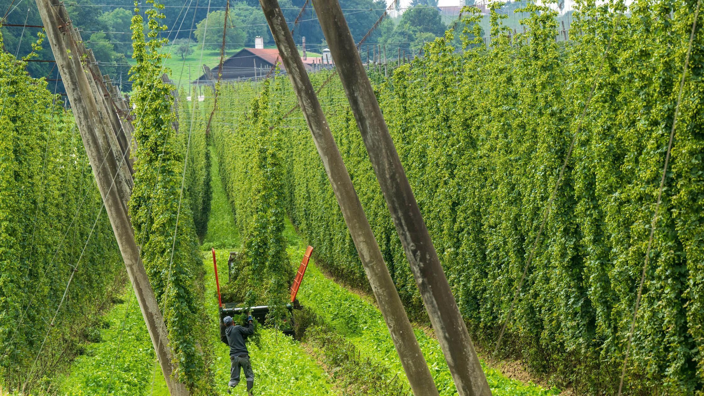 Zum ersten Mal seit neun Jahren: Deutschland wieder Nummer eins beim ...