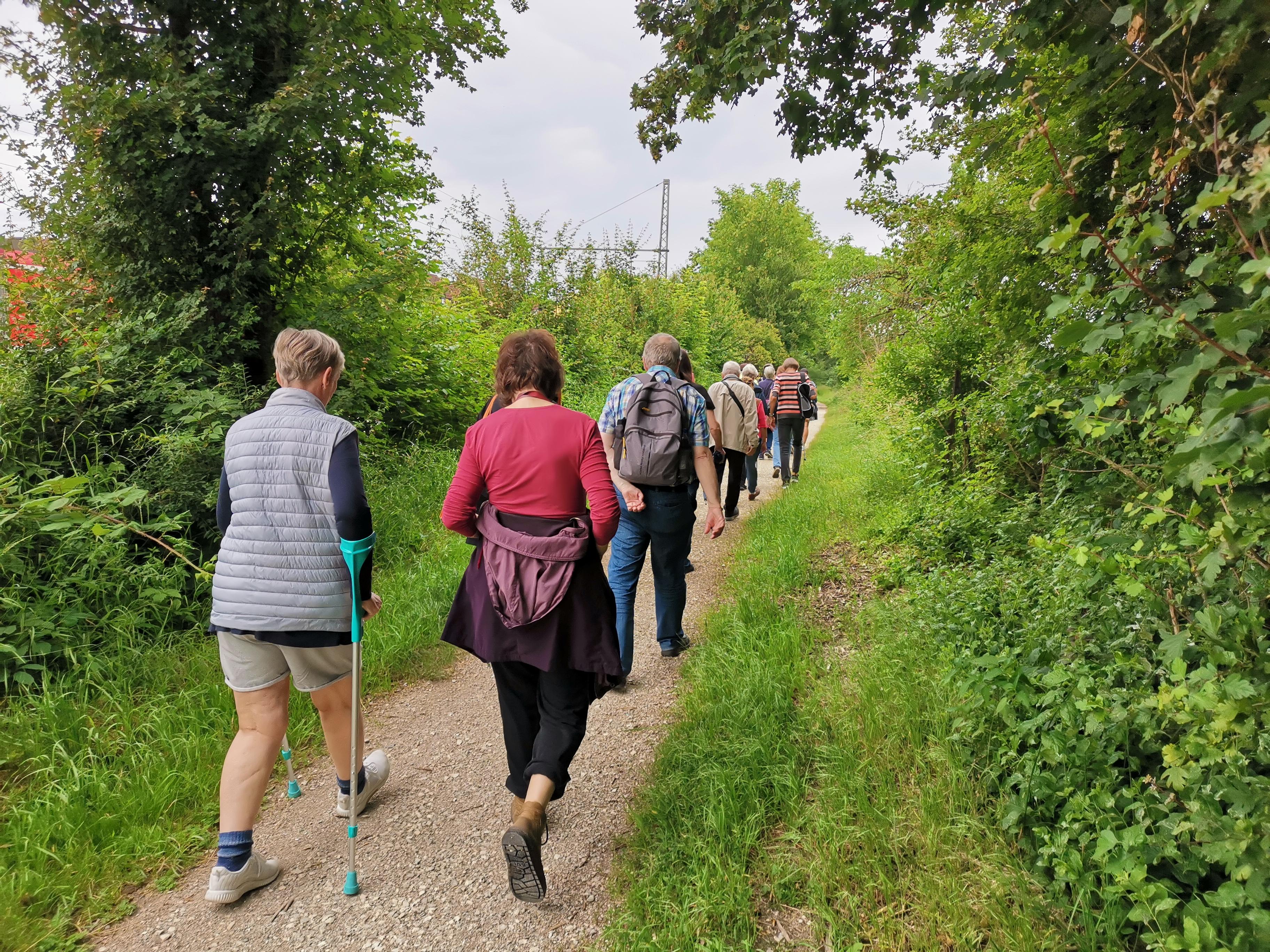 Spazieren gegen die Einsamkeit: Was die Teilnehmer an Walk & Talk in ...