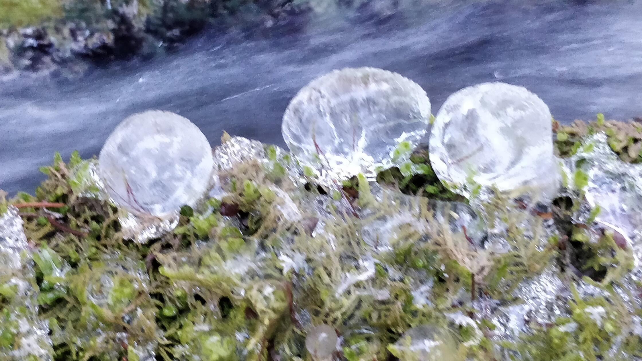 Steinerne Rinnen: Eine Expertin erklärt das Phänomen der „wachsenden ...