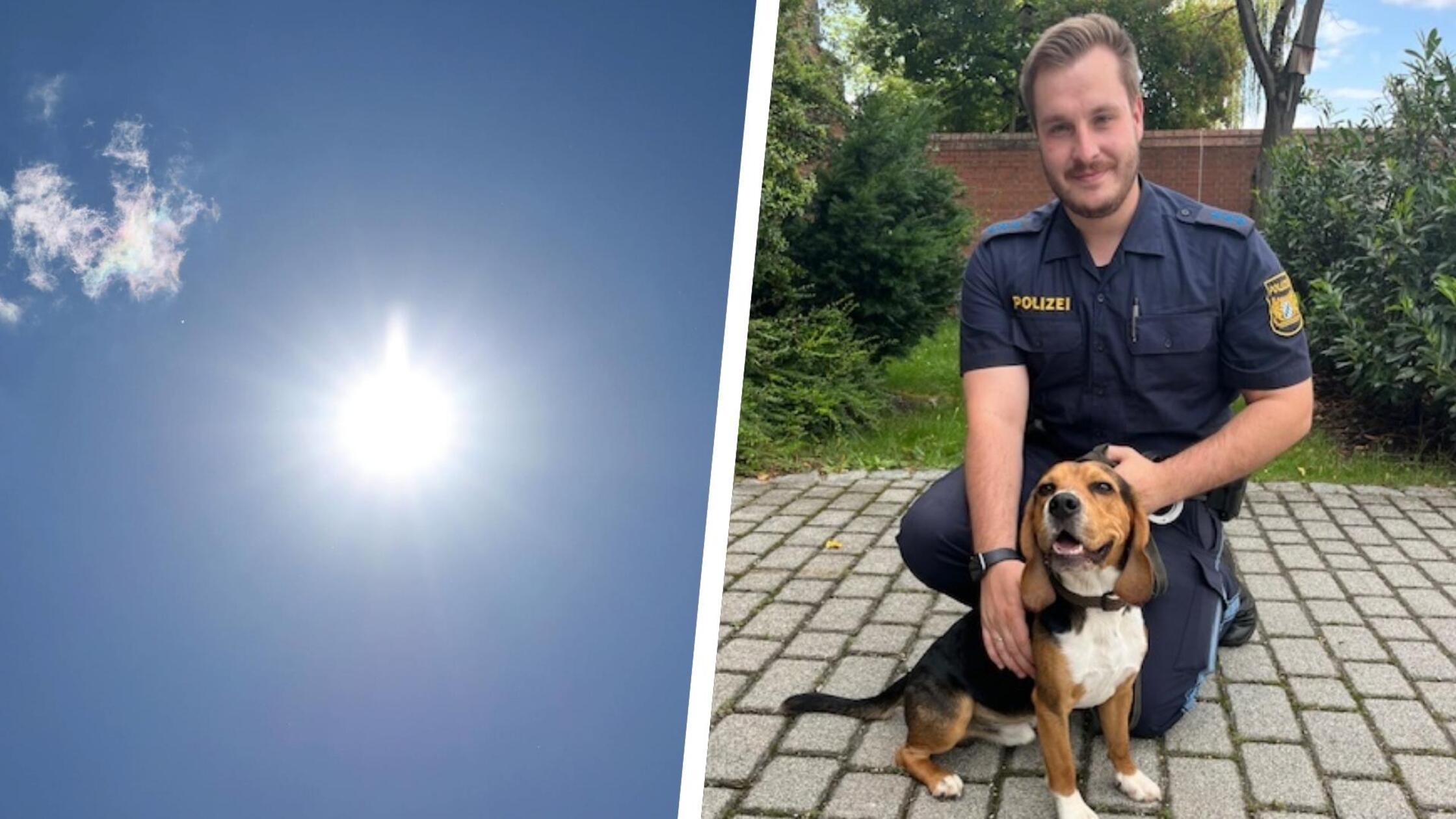 Beagle saß in der Mittagshitze in Hirschau eingesperrt im Auto