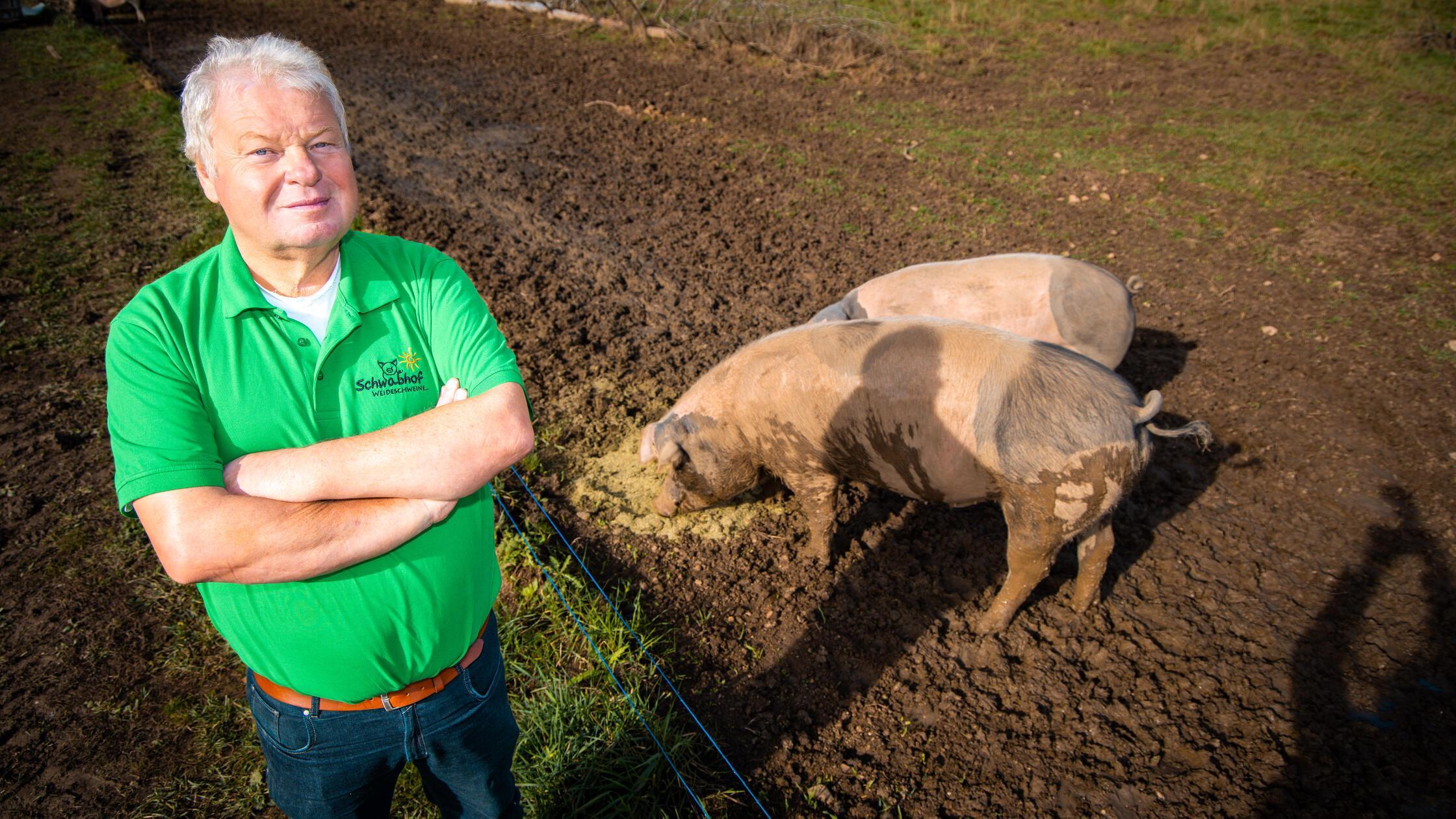 Glückliche Schweine auf der Weide: Warum Thomas Schwab aus Lieritzhofen ...