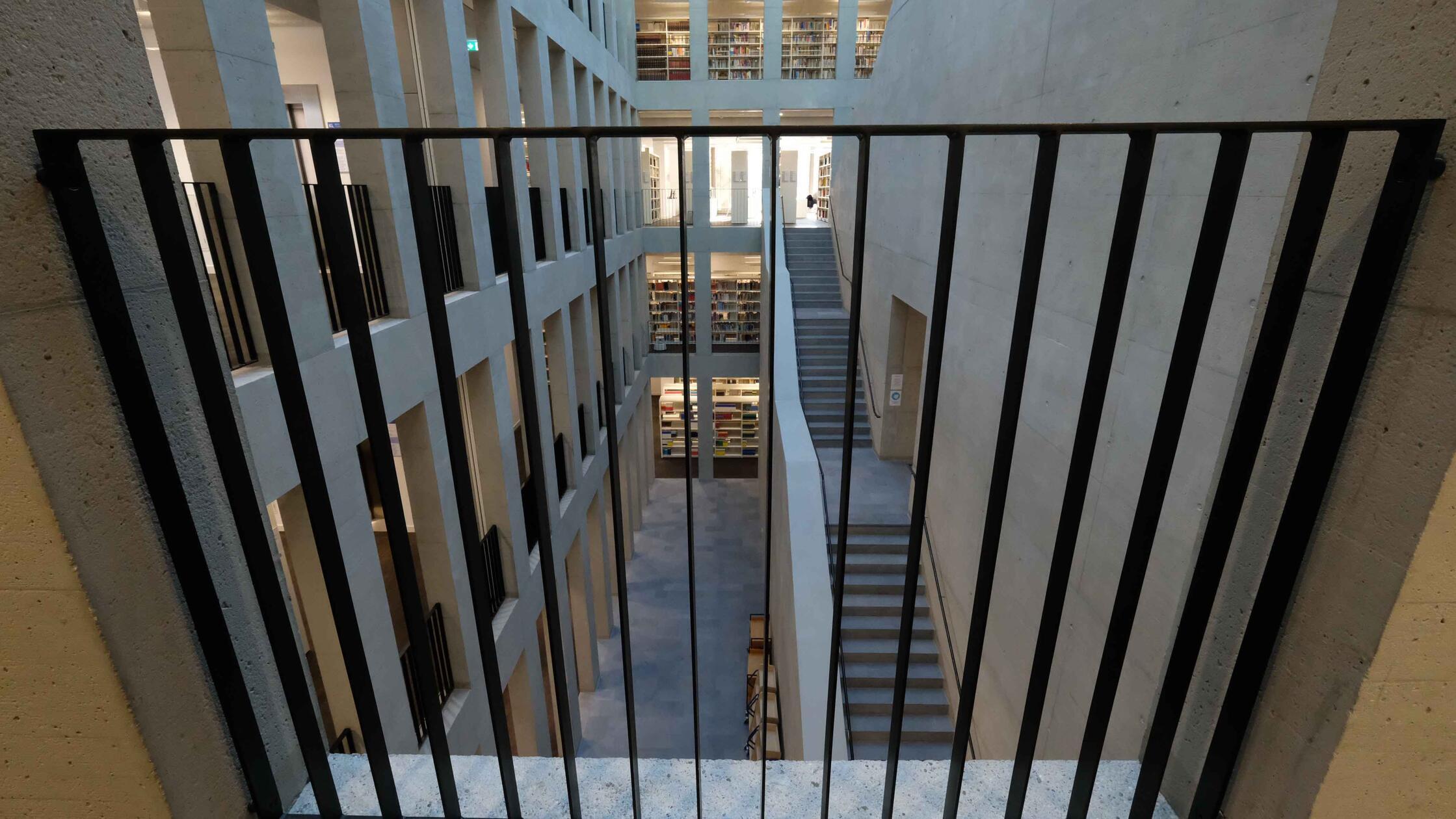 Evocortex: Startup aus Forschungs-Hub der TH Nürnberg muss Insolvenz ...