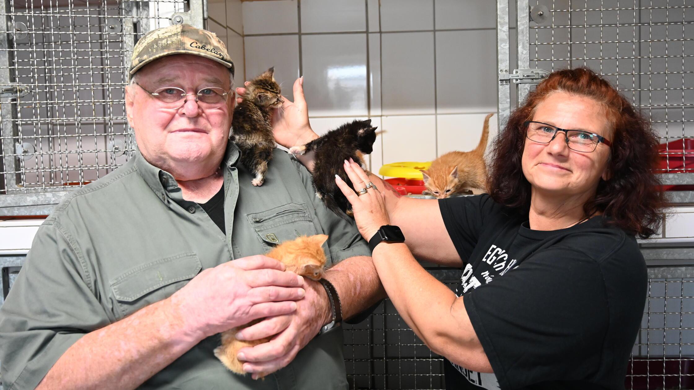 Ausgesetzte Katzenbabys im Tierheim Roth: Eckersmühlener erhöht Peta ...