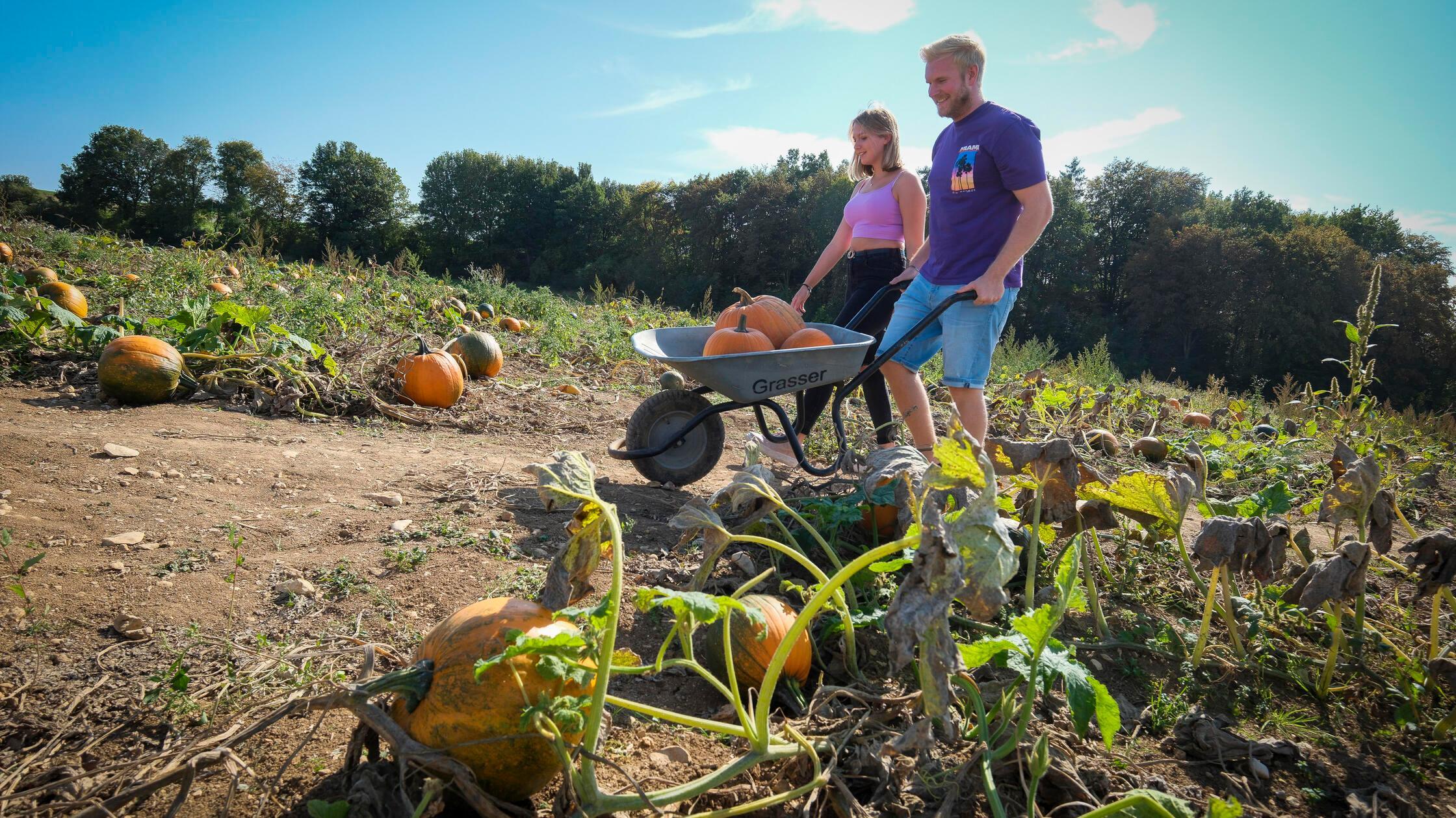 Kürbisse kaufen in Franken: Das bieten der Kürbishof Schnell bei Roth ...