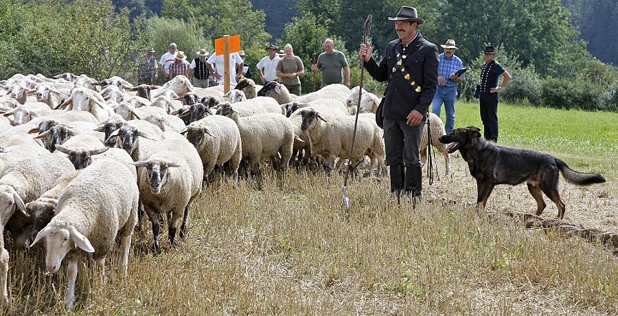 Olivia treibt Nascher aus dem Blumenbeet