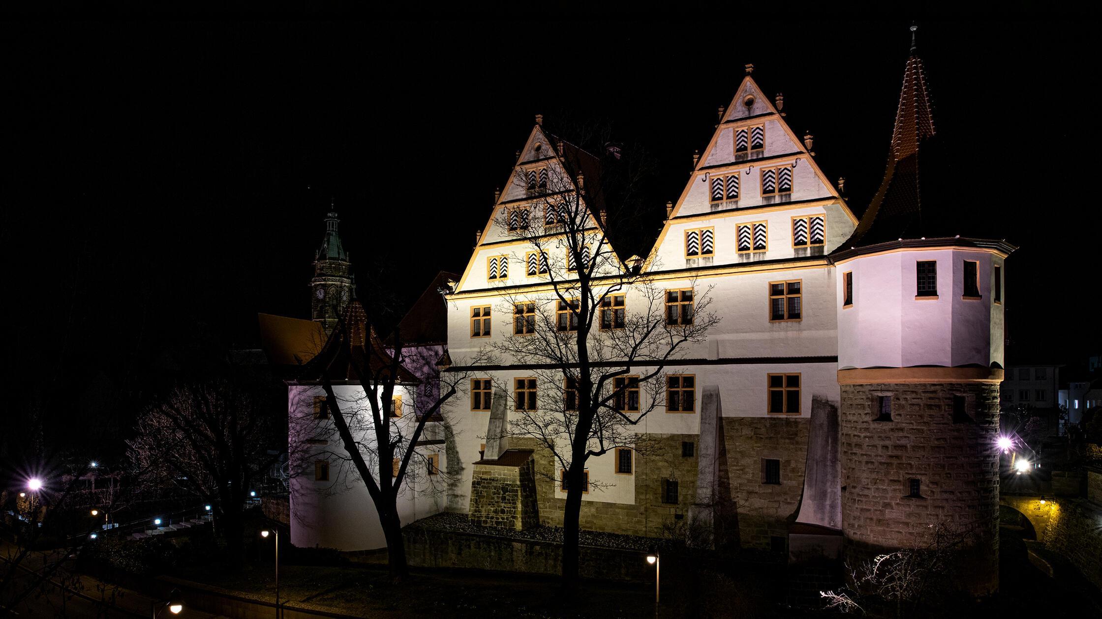 Earth Hour setzt Zeichen für Klimaschutz: Stadt Roth hüllt bekannte ...