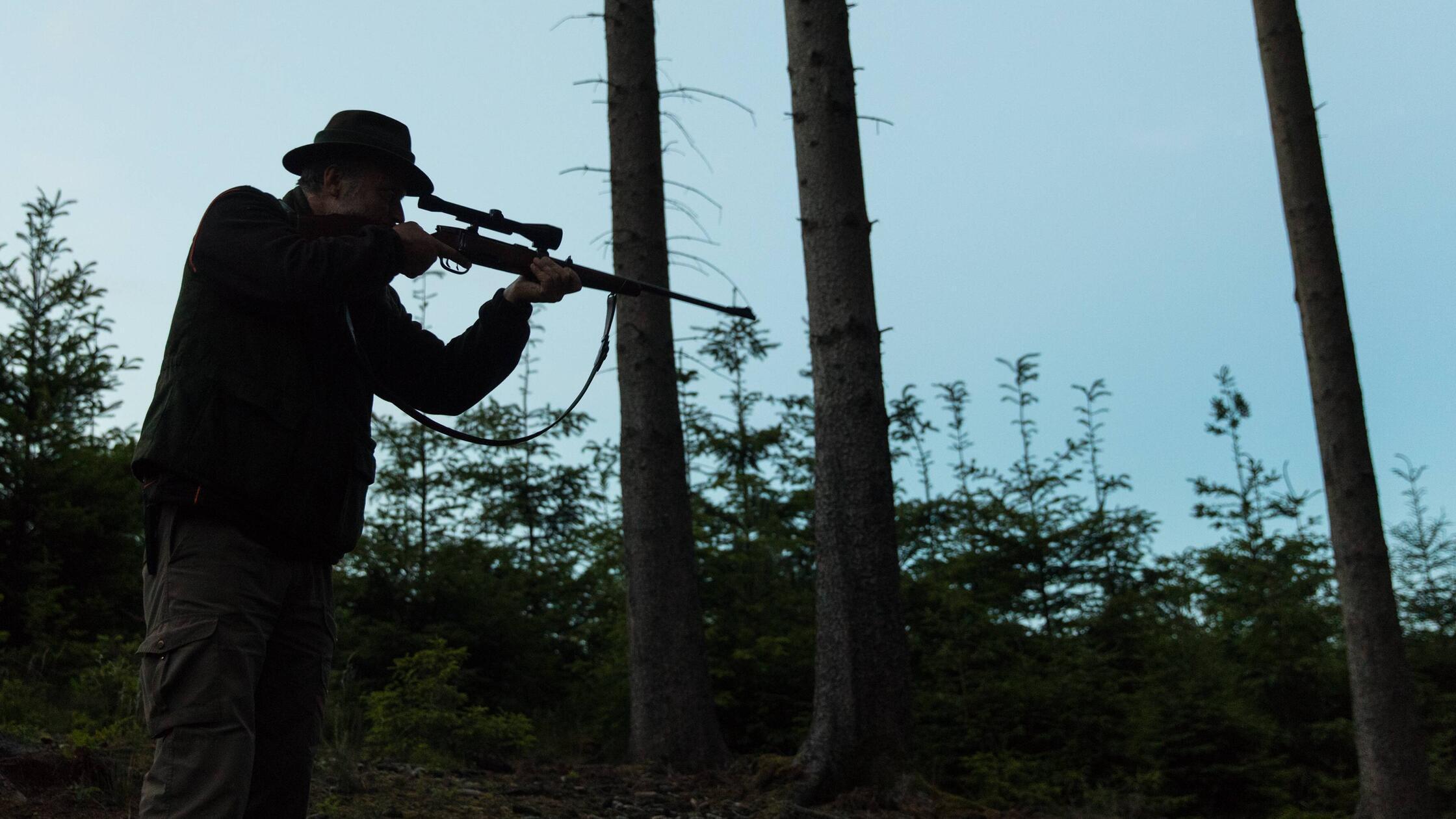 Wenn Jäger Katzen und Hunde erlegen: Das sind die Abschussregeln für ...