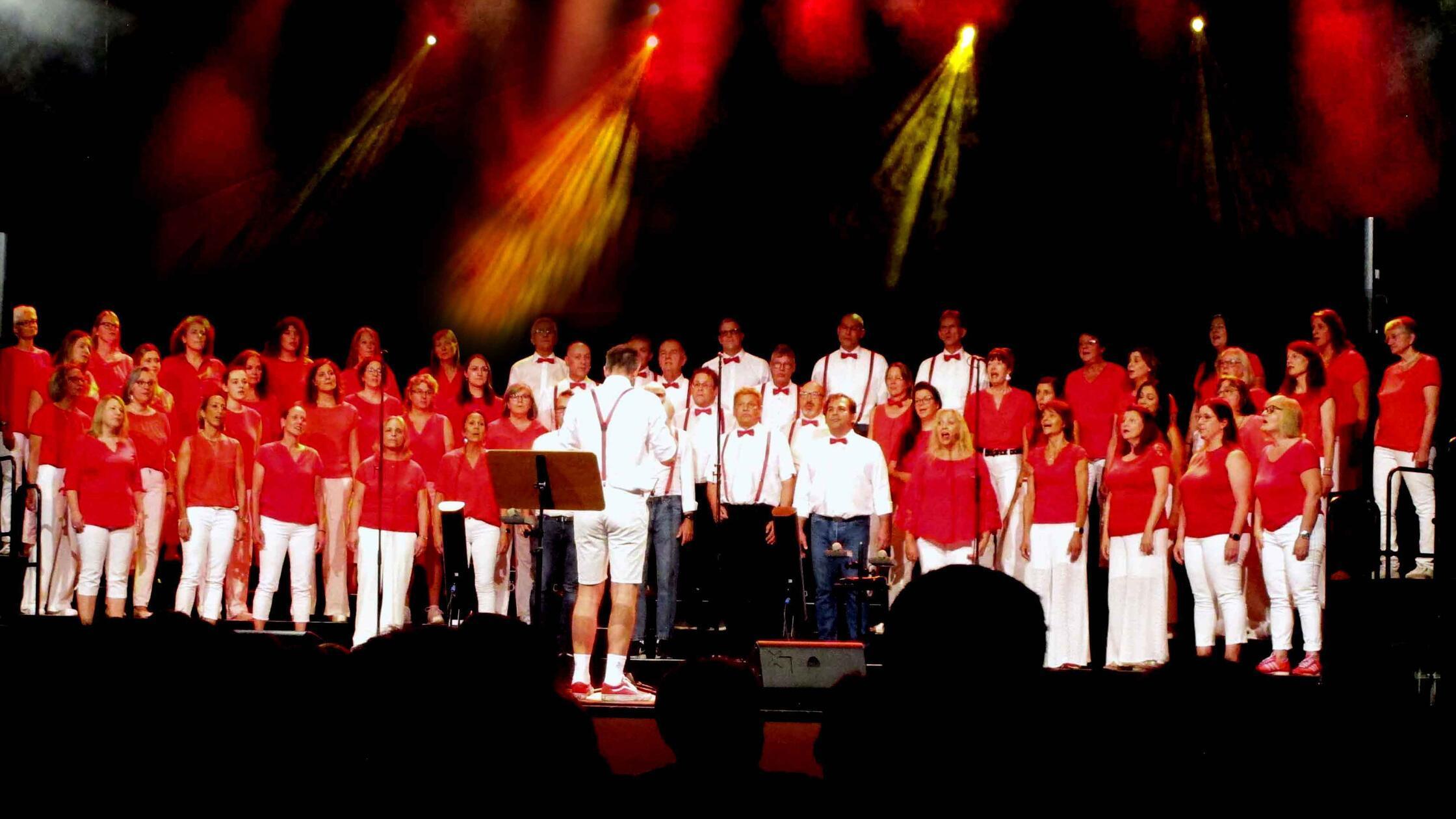 Michael Jackson, Rammstein und Elvis: So sorgte Choralle in Windsheim ...