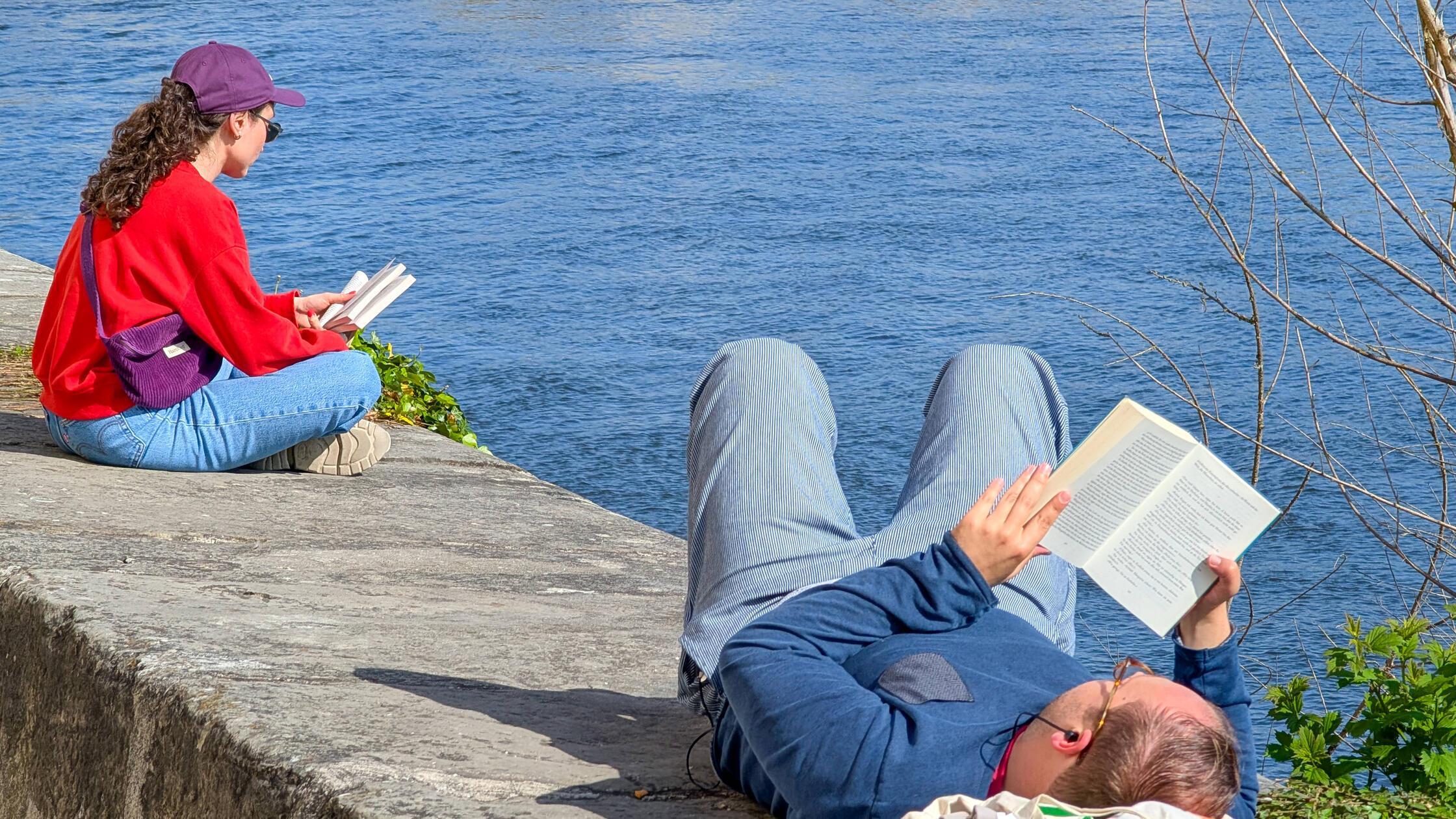 Neue Romane in der SPIEGEL-Bestsellerliste: Neueinsteiger der Woche