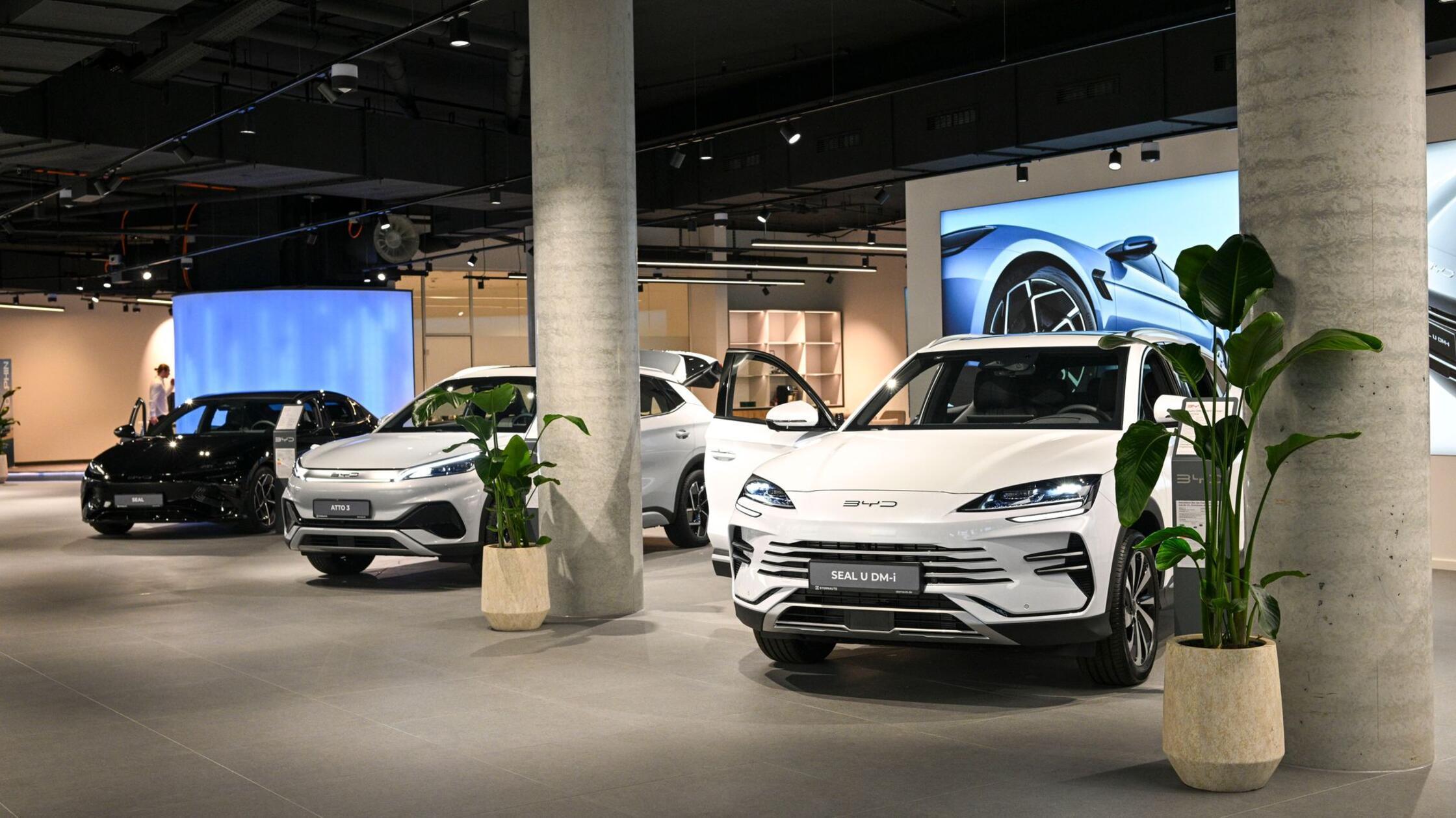 Showroom im Neuen Markt: BYD und Leapmotor im Portfolio von Fischer ...