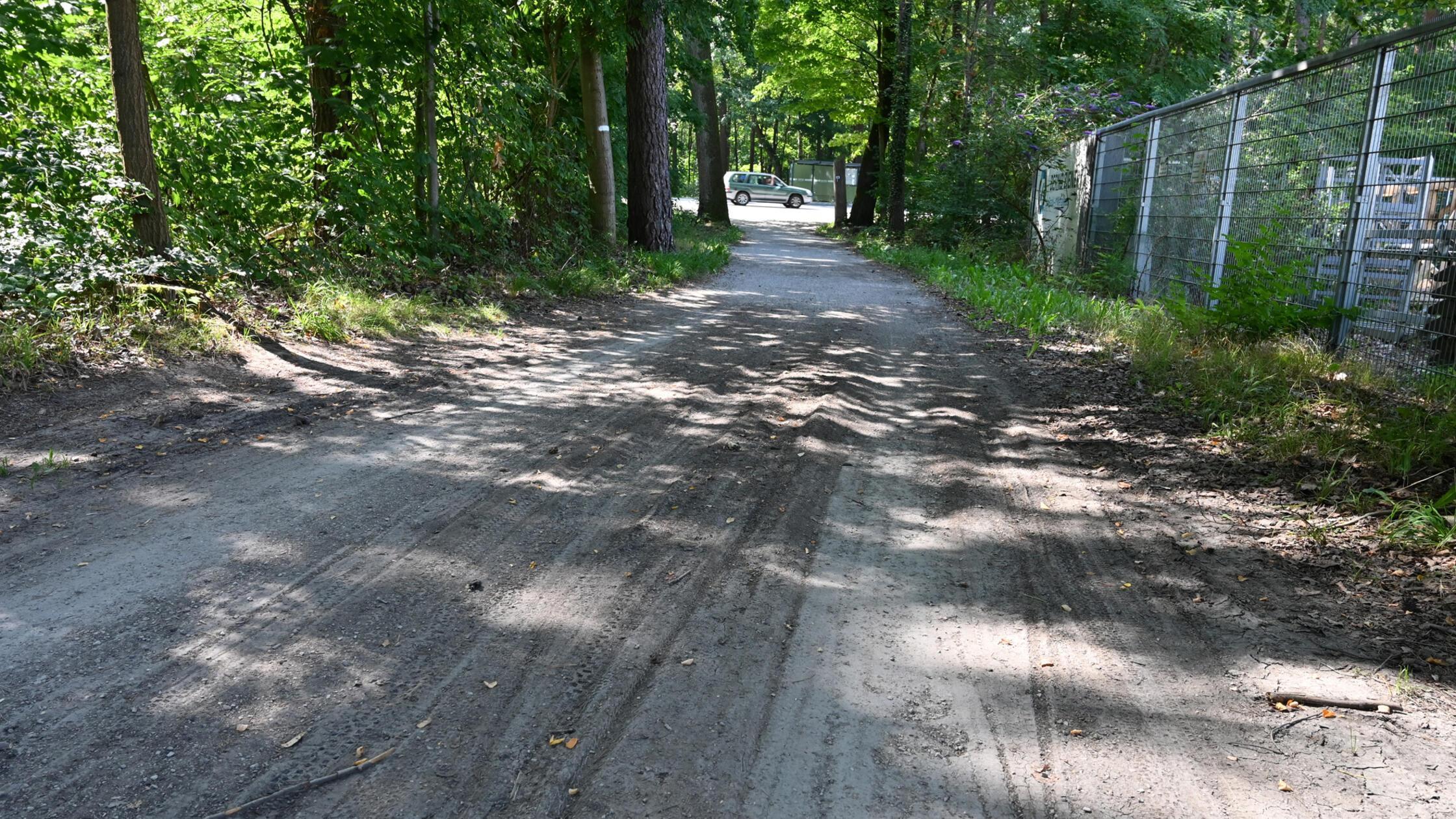 Durch dunklen Wald zum Bus: Erlanger wollen, dass Weg endlich ...