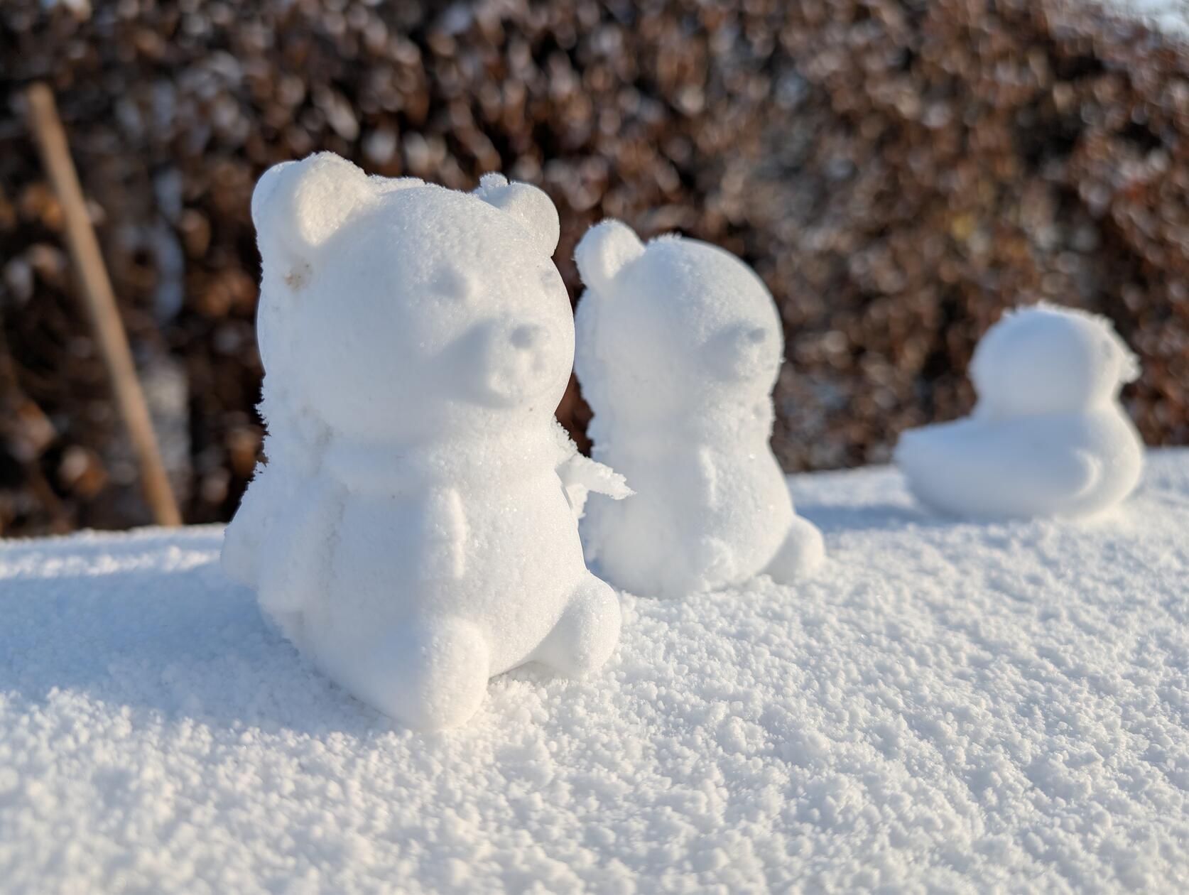 Winterglück in Schwabach und dem Landkreis Roth: Die schönsten ...