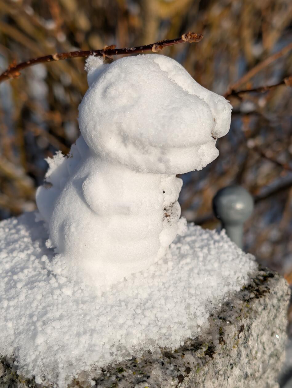 Winterglück in Schwabach und dem Landkreis Roth: Die schönsten ...