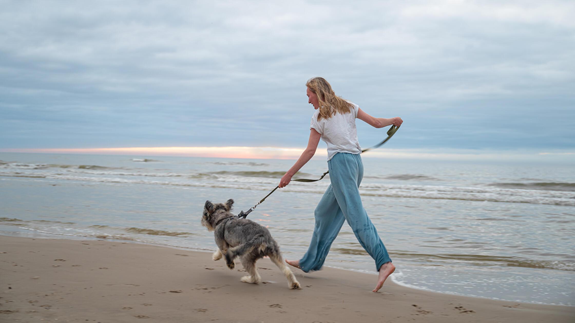 Nordsee für Zwei- und Vierbeiner: Warum ein Urlaub mit Hund in Dänemark ...