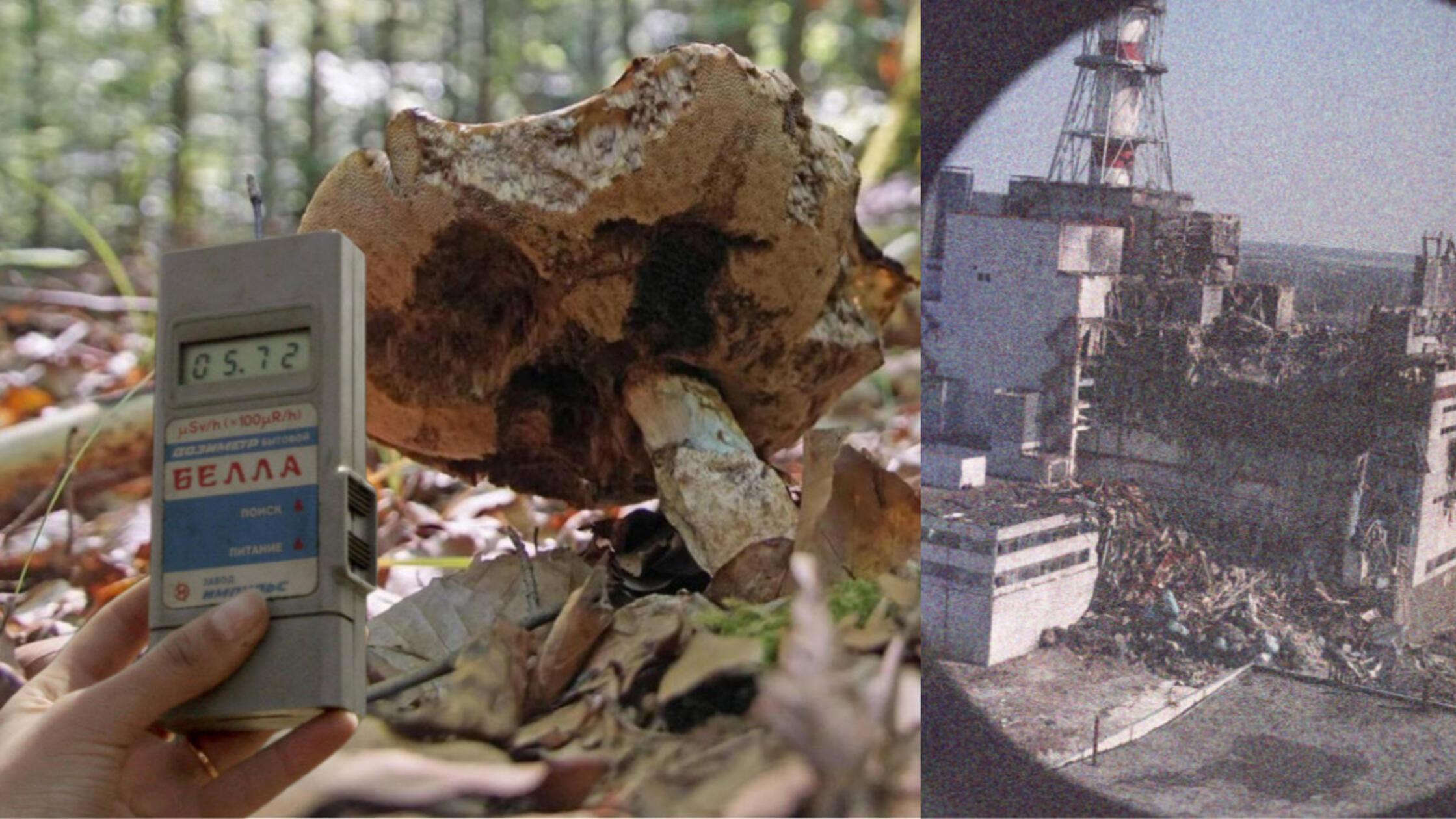 40 Jahre nach Tschernobyl-Katastrophe: Wie strahlenbelastet ist Bayern ...