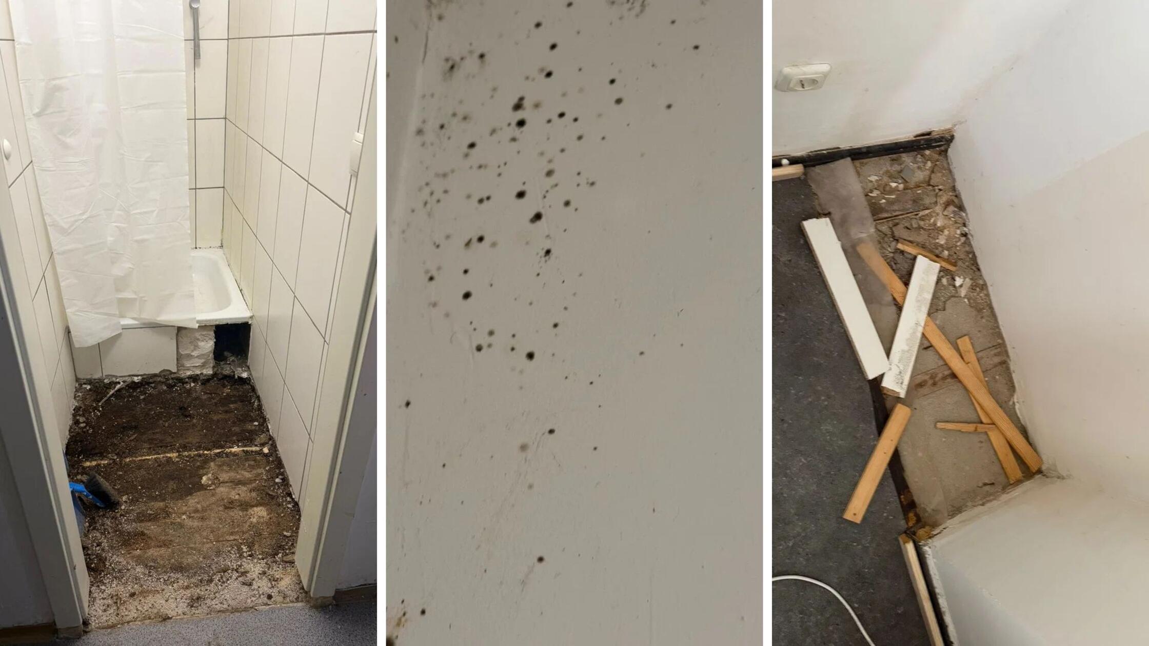 Schimmel, Mäuse, Ungeziefer: Geflüchtete klagt über desolaten Zustand ...