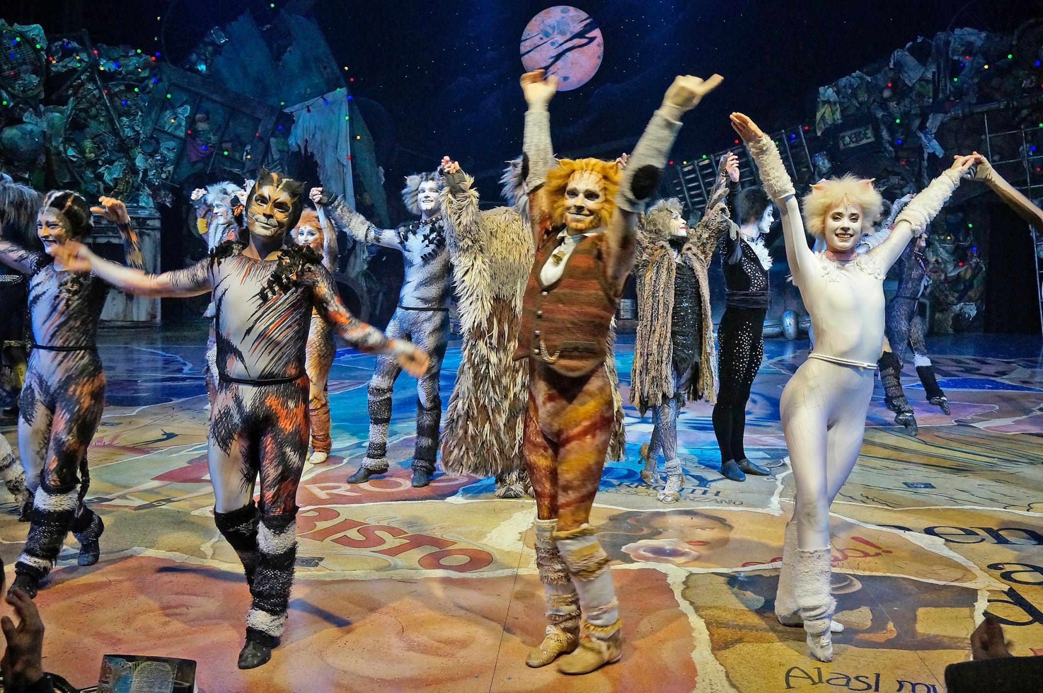 "Cats": Katzen krallen sich das Publikum