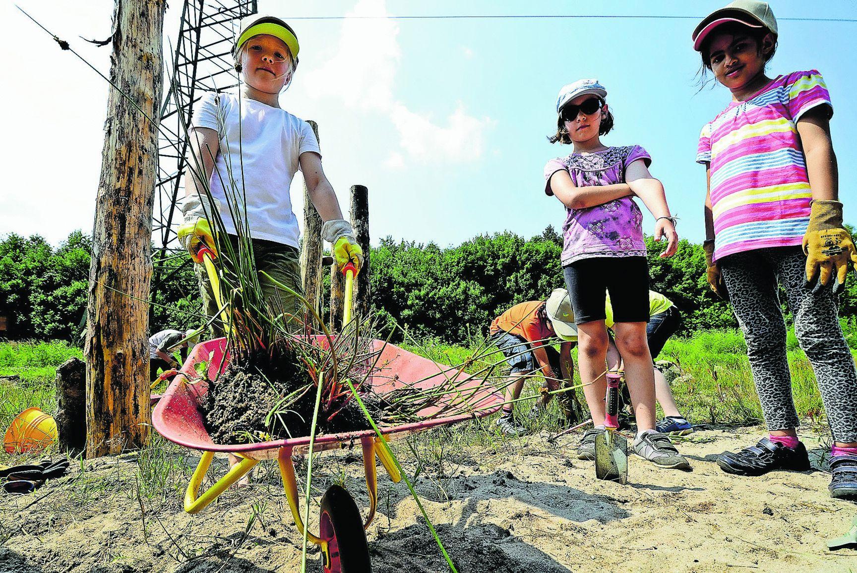 Kinder entdecken Leben im Sand