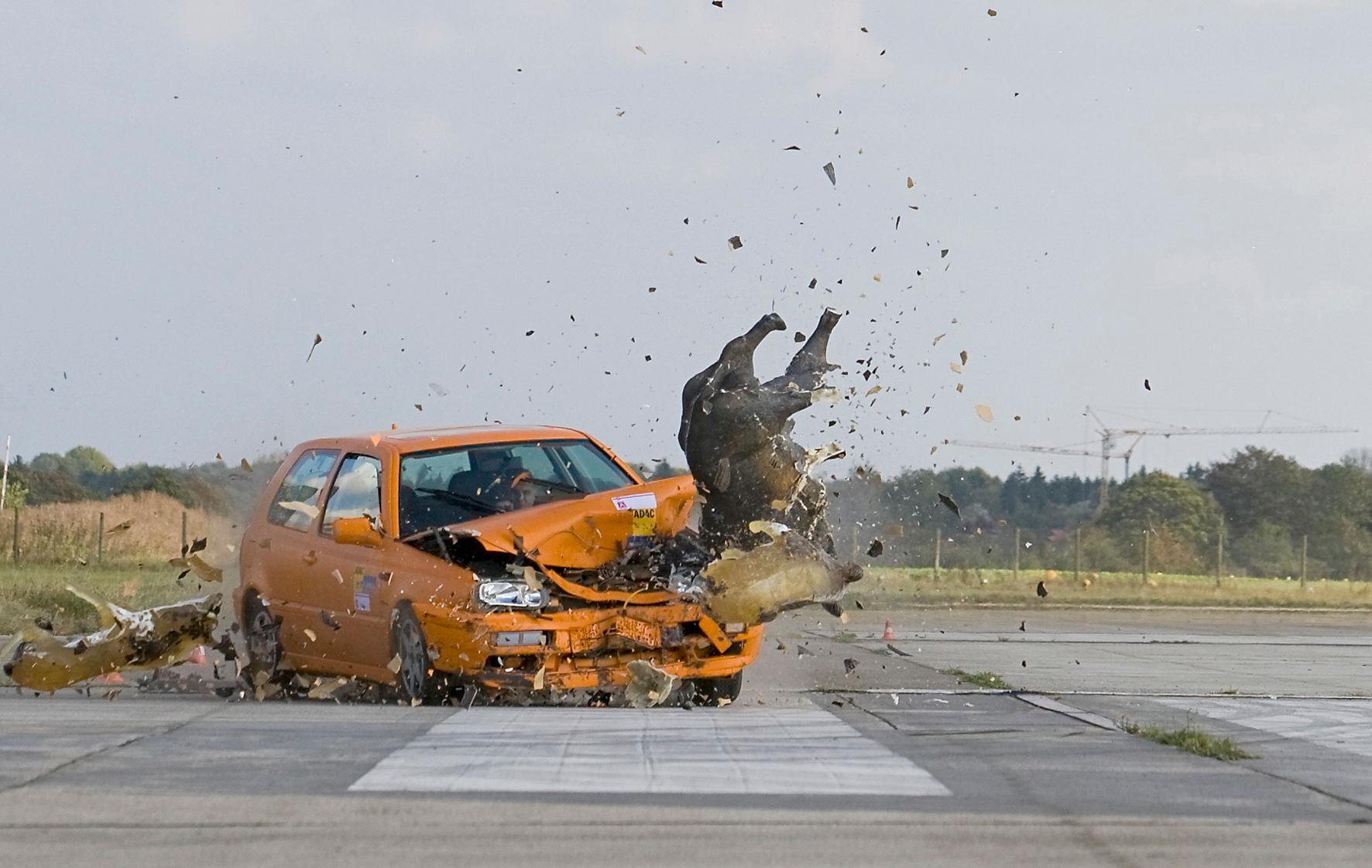 Zusammenprall mit Wildschwein: Zwei Personen verletzt