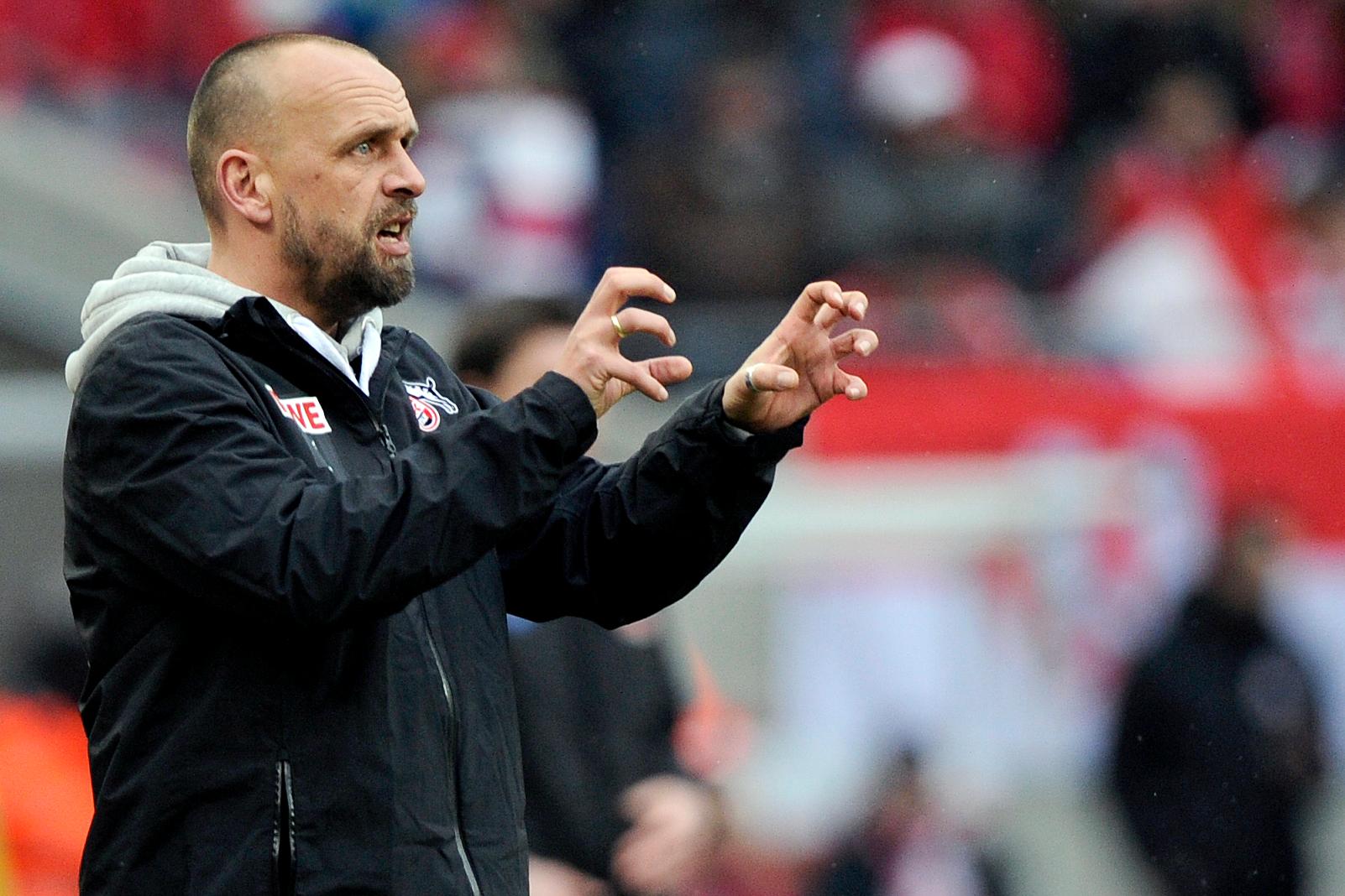 Neuer Trainer: Macht es Club-Fan Stanislawski?