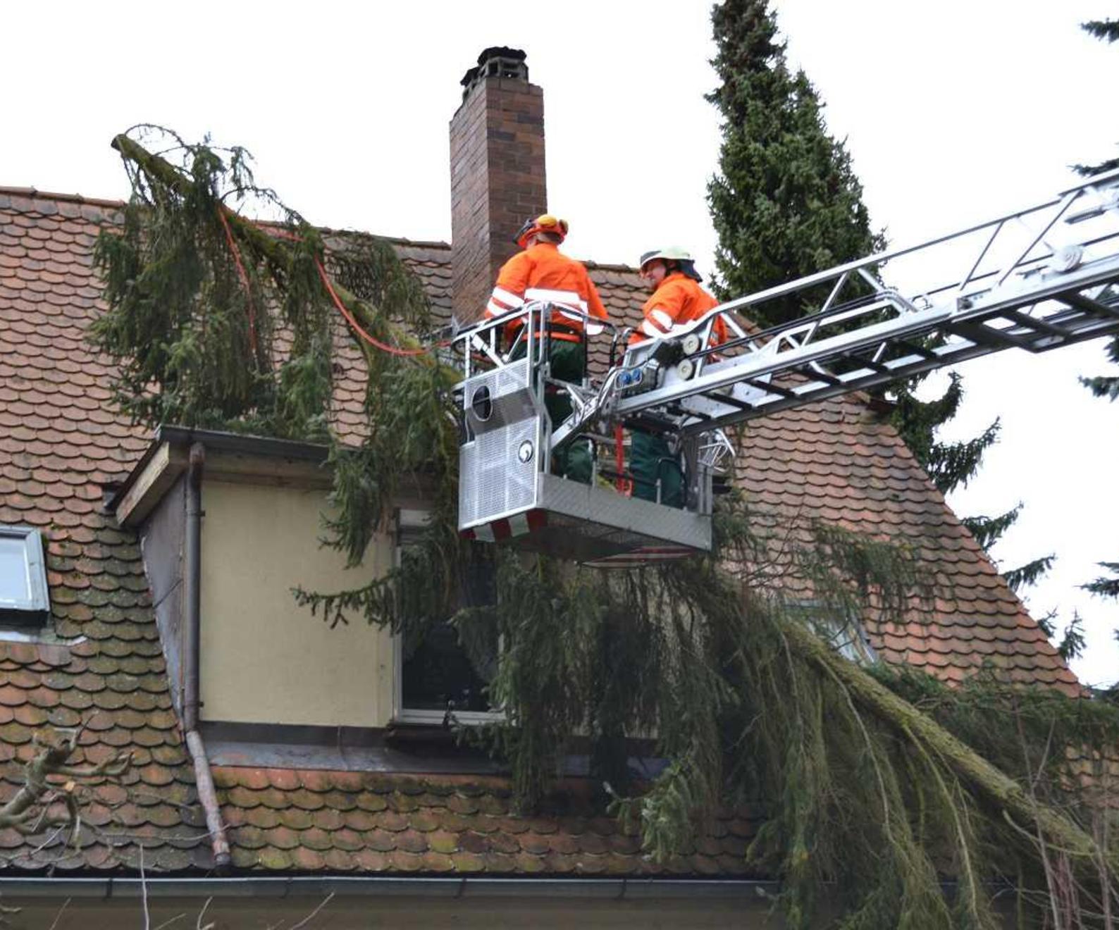 Sturm wütete: Baum stürzt auf ein Wohnhaus