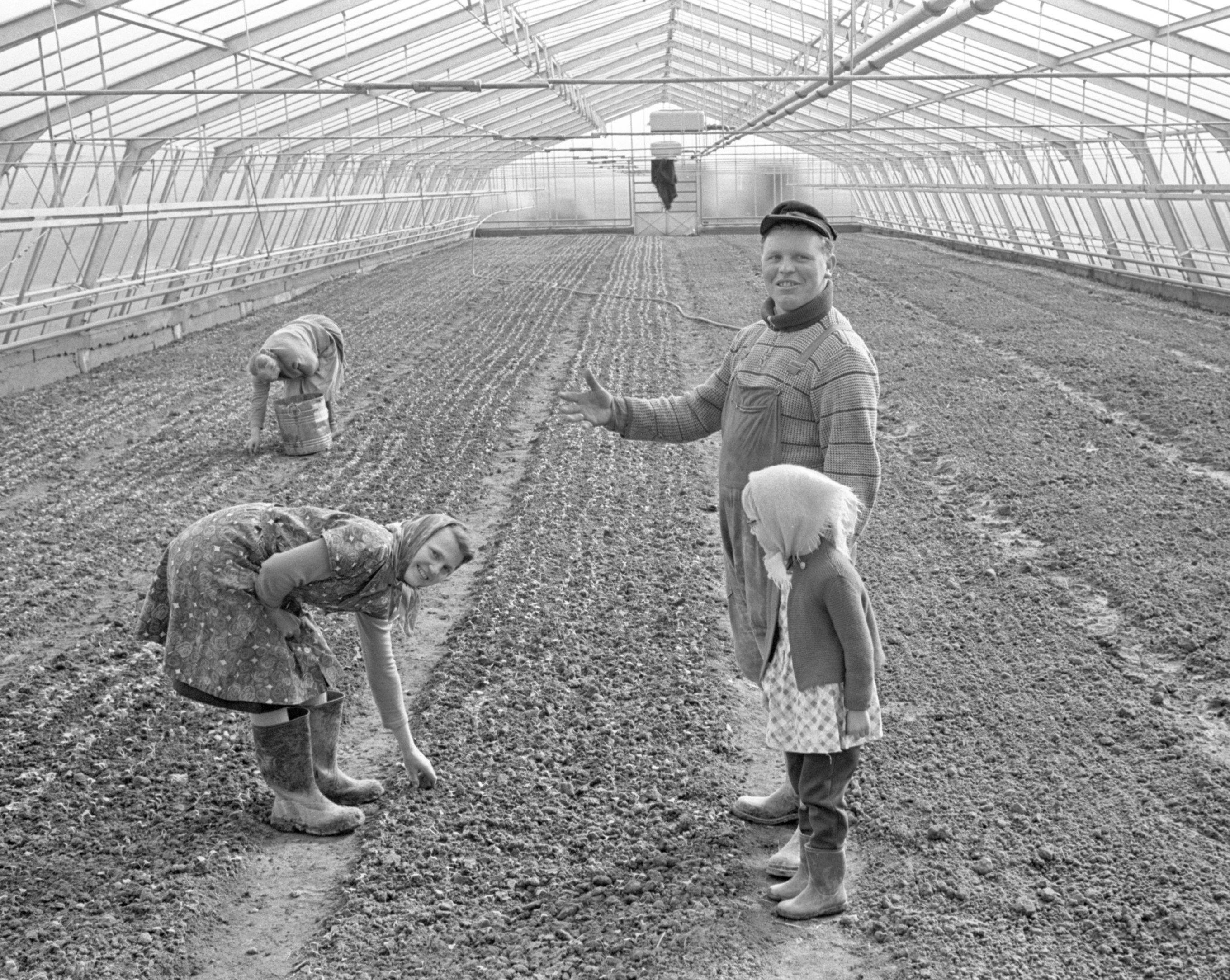 18. März 1965: Bauern ackern auf neuen Fluren