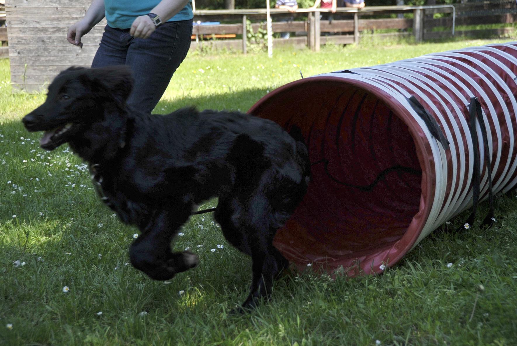 „Tickende Zeitbombe“