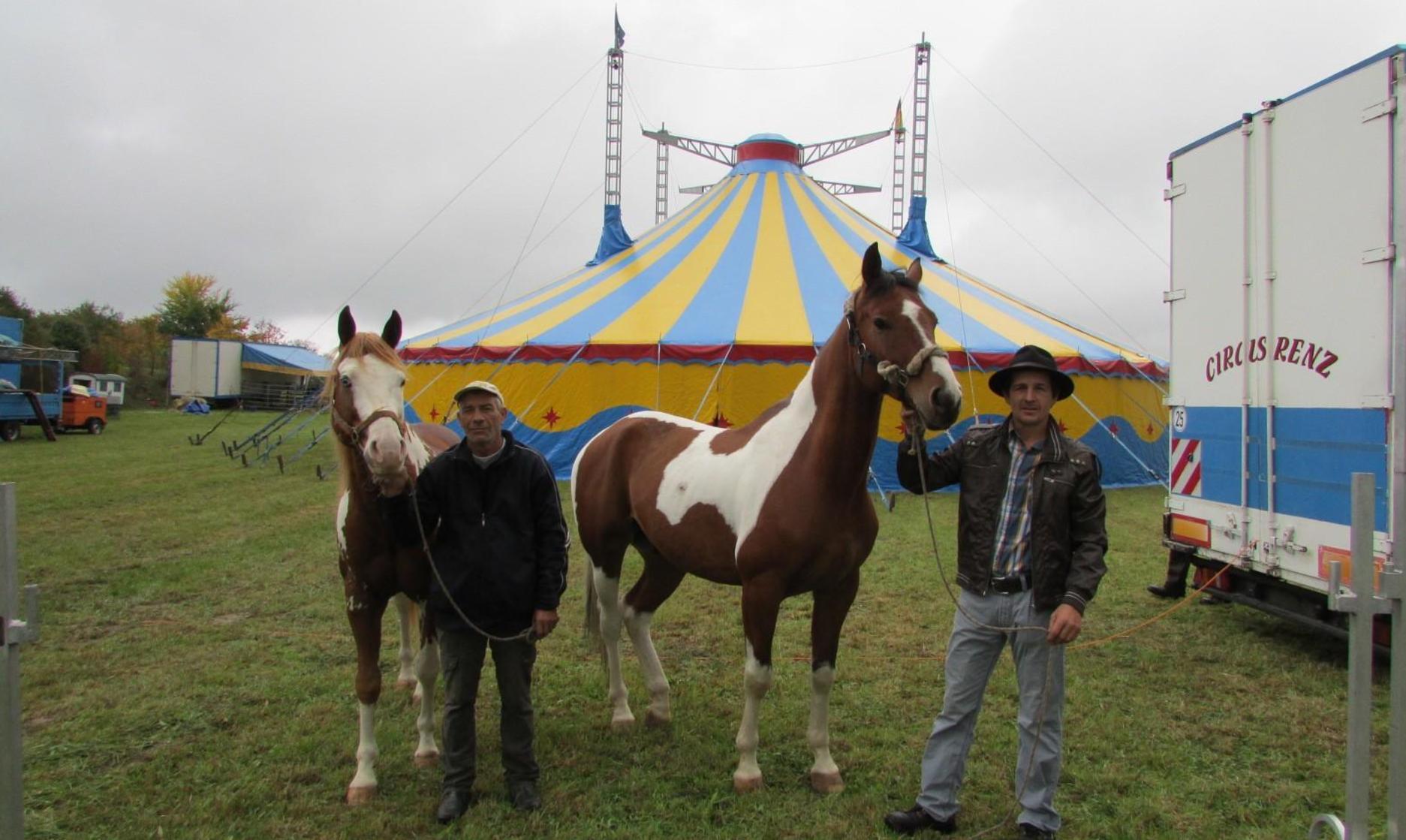 Circus Renz gastiert in Gräfenberg