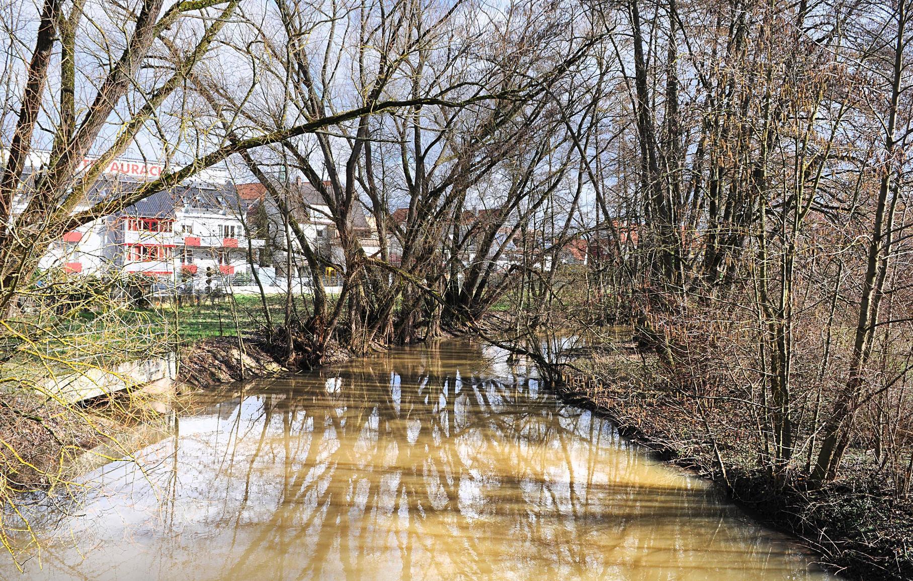 Die Aurach soll wieder schöner und lebendiger werden