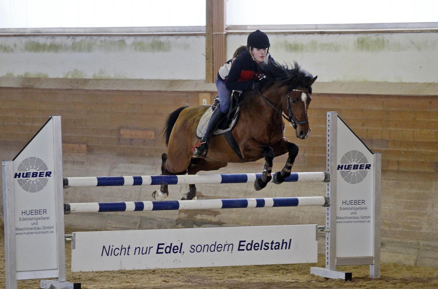 Kleine Ponys machen große Sprünge