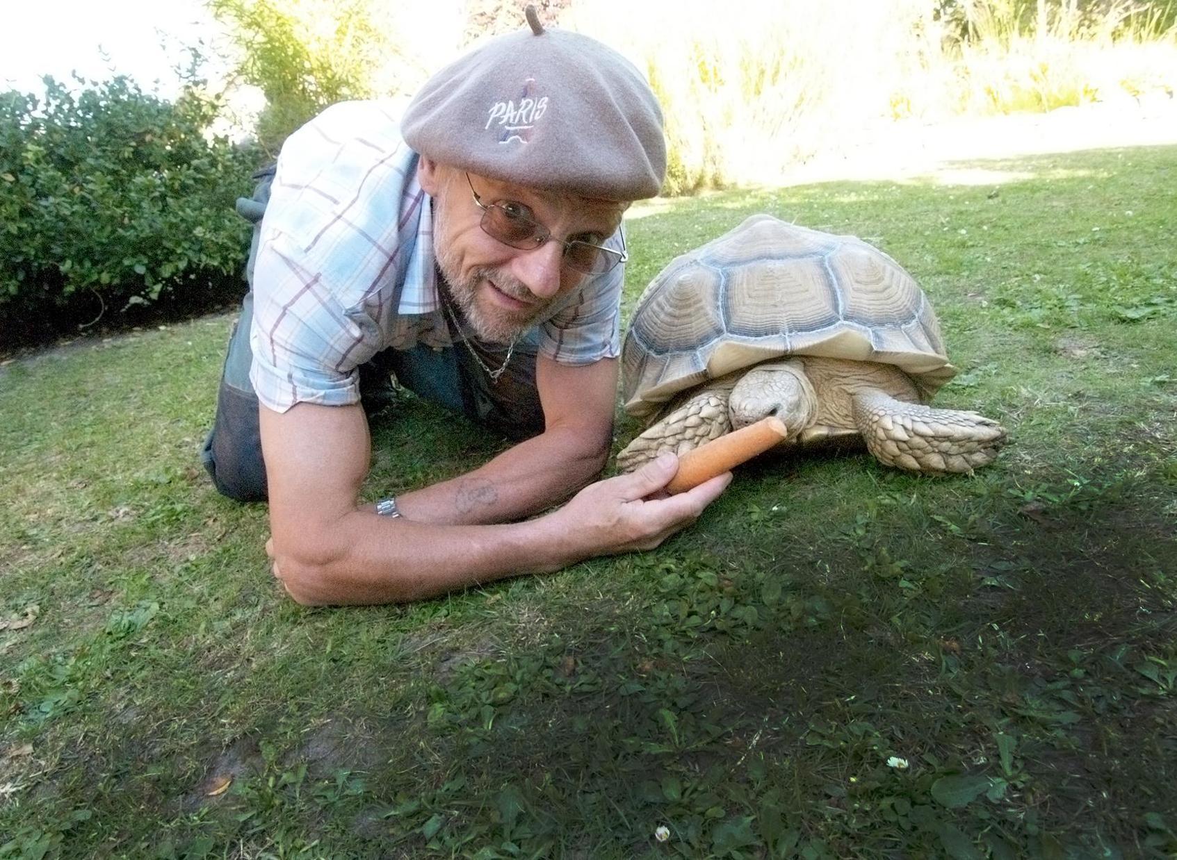 Exotin in der Aisch: Schildkröte lebt im Fluss