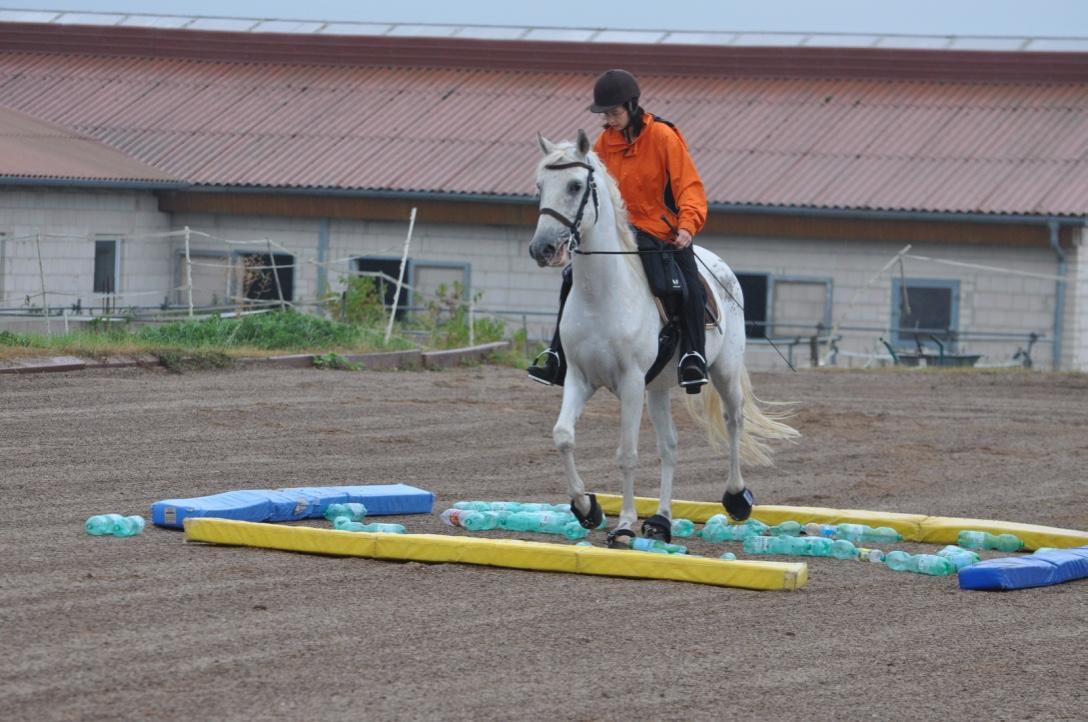 Herausforderung beim Eierlaufen mit Pferd