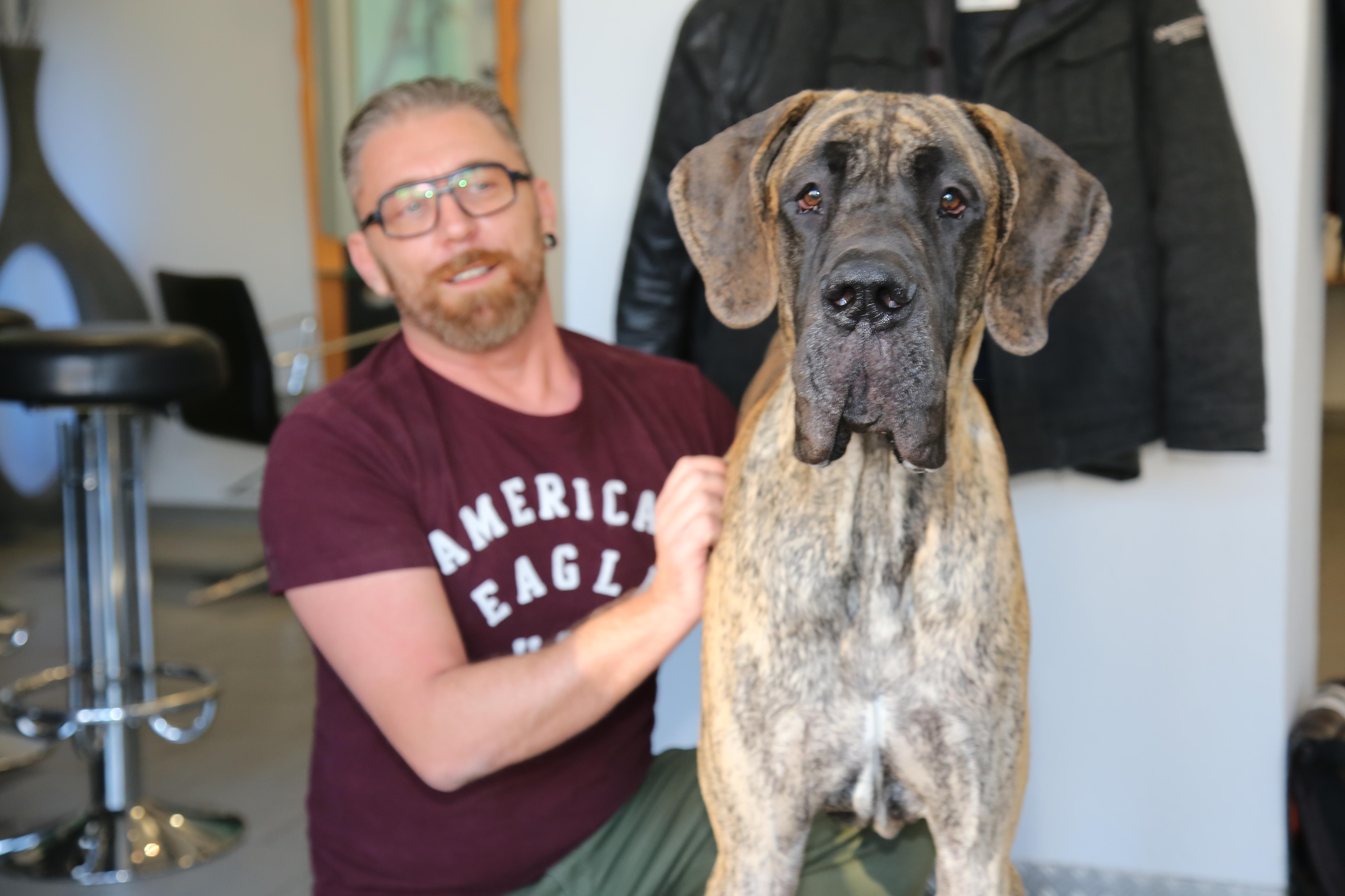 Ein Koloss von 72 Kilo: Das ist Frankens größter Hund | Nordbayern