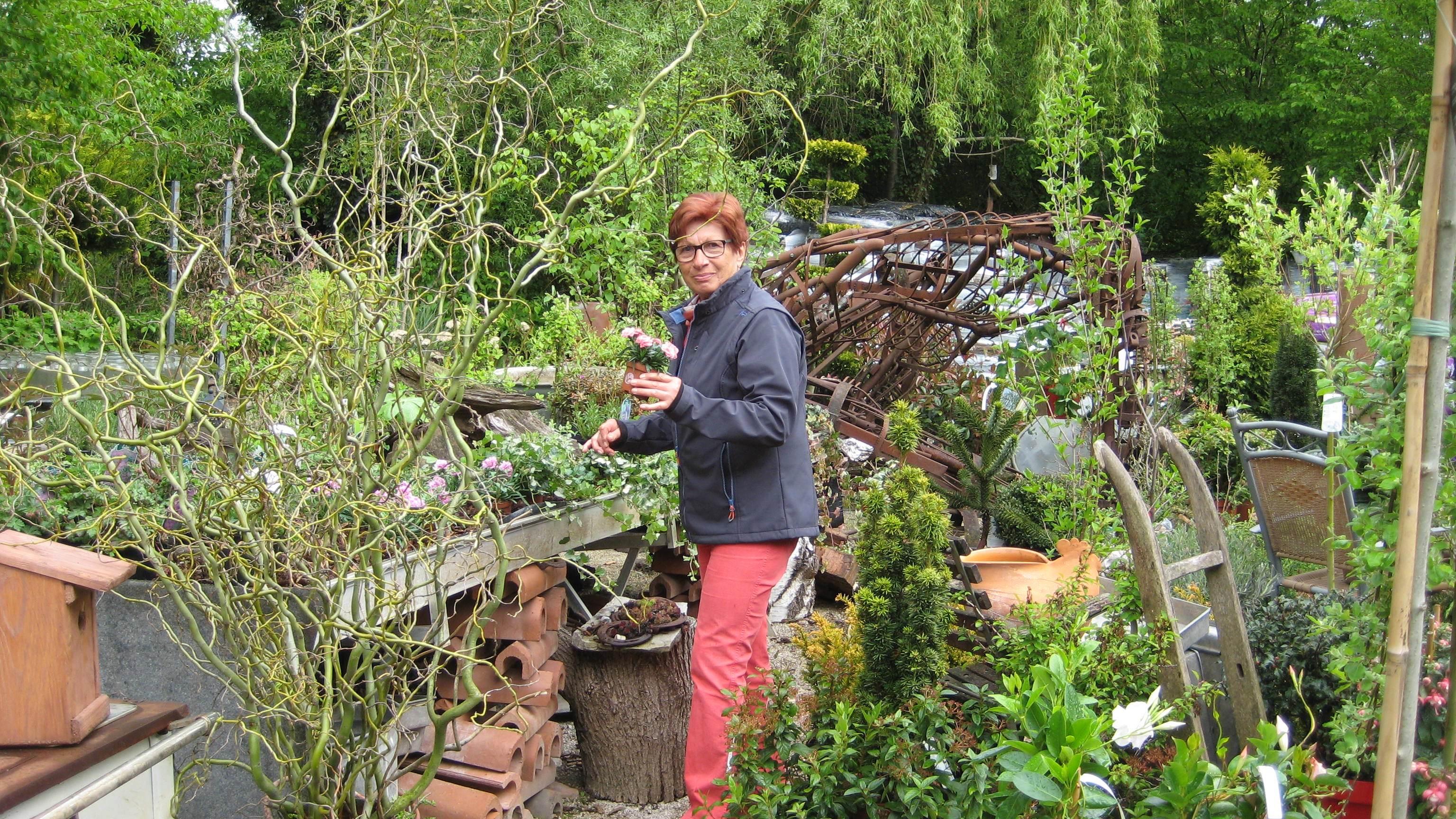 Blumenschau zum Muttertag: Besuch in der Gärtnerei Hußenether