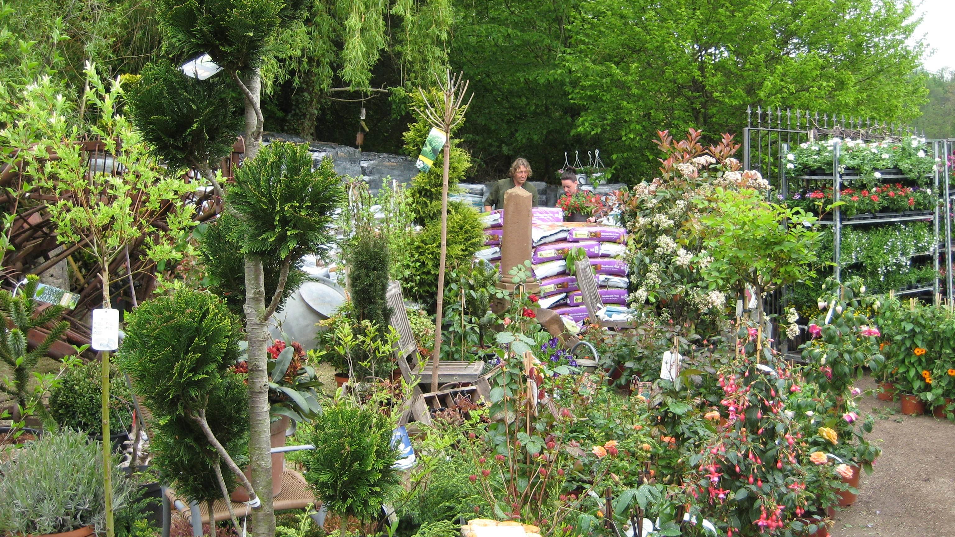 Blumenschau zum Muttertag: Besuch in der Gärtnerei Hußenether