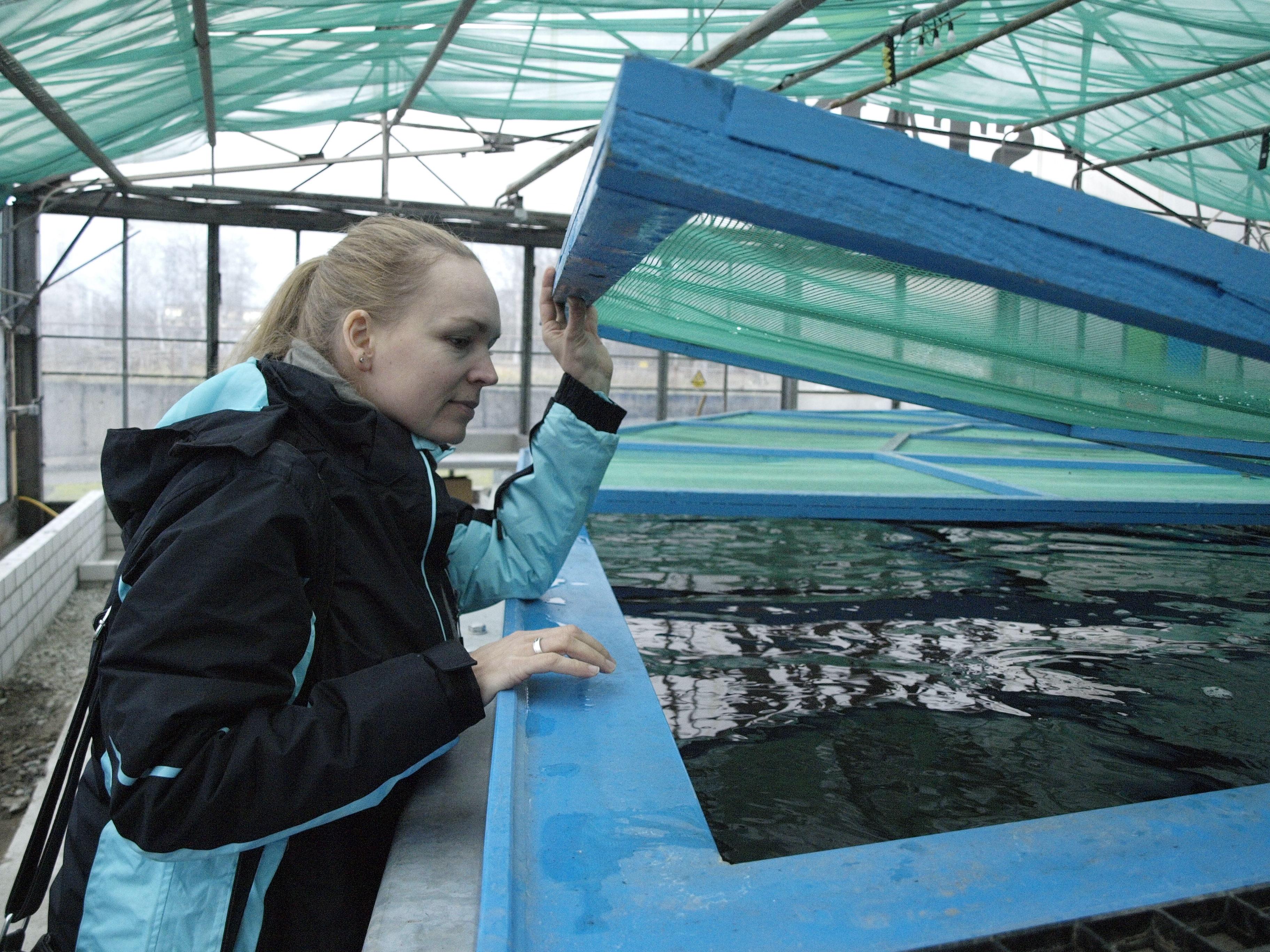 Eine Farm in Berlin: Fisch und Bananen aus der Hauptstadt