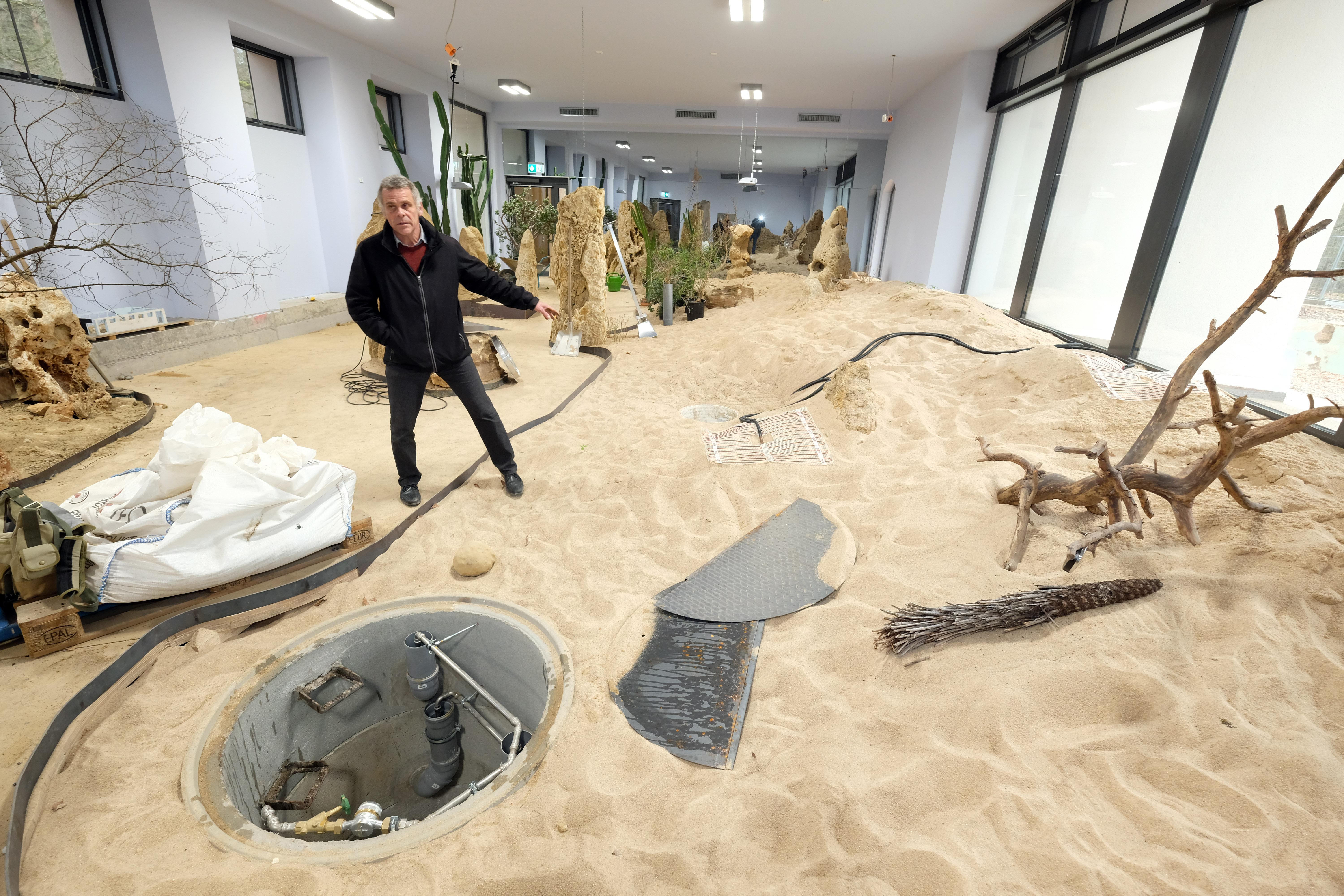 Tiergarten Nürnberg: Aus Flusspferdhaus wird Wüstenhaus