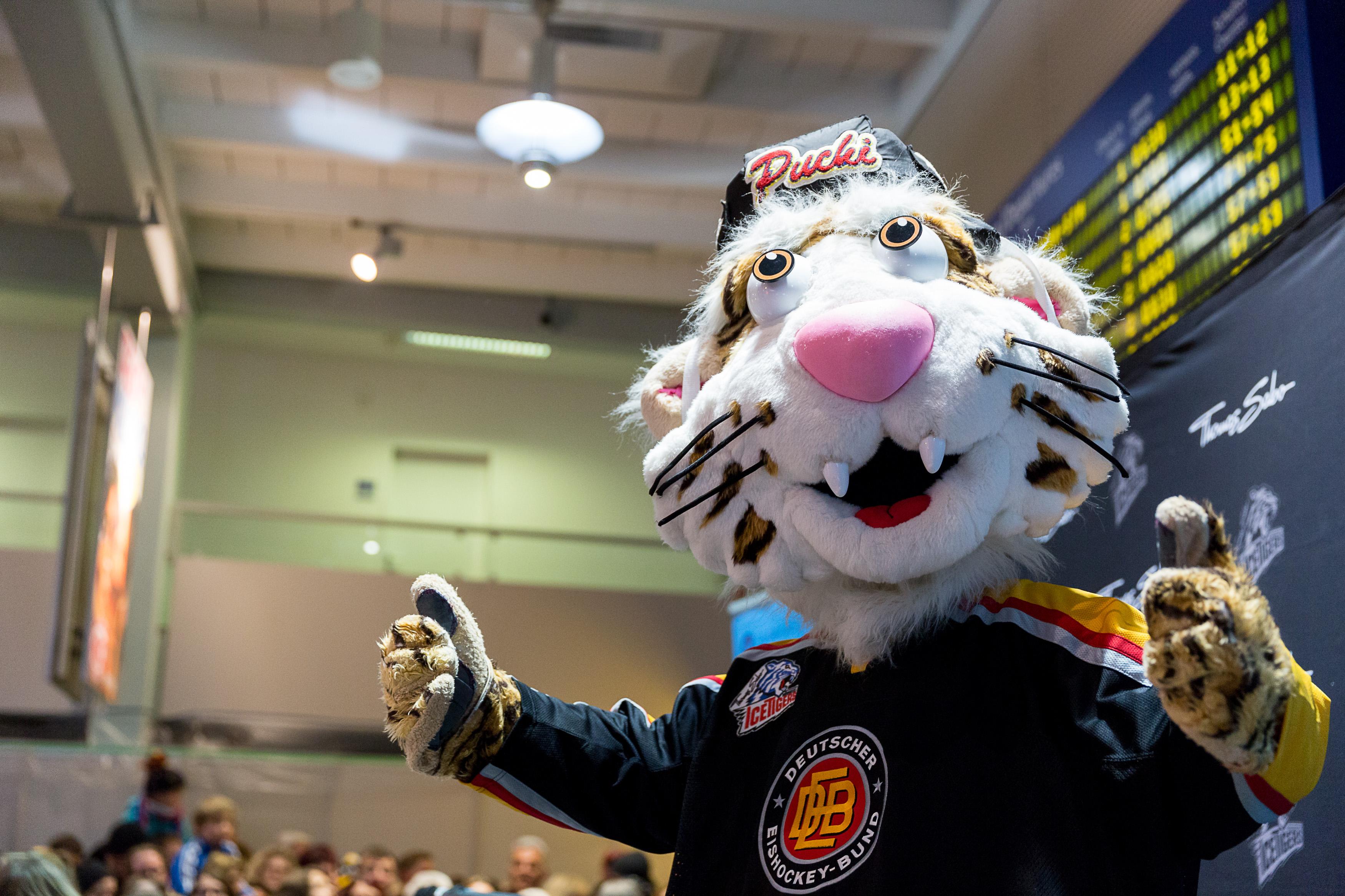 Ice Tigers kooperieren nun mit Airport Nürnberg