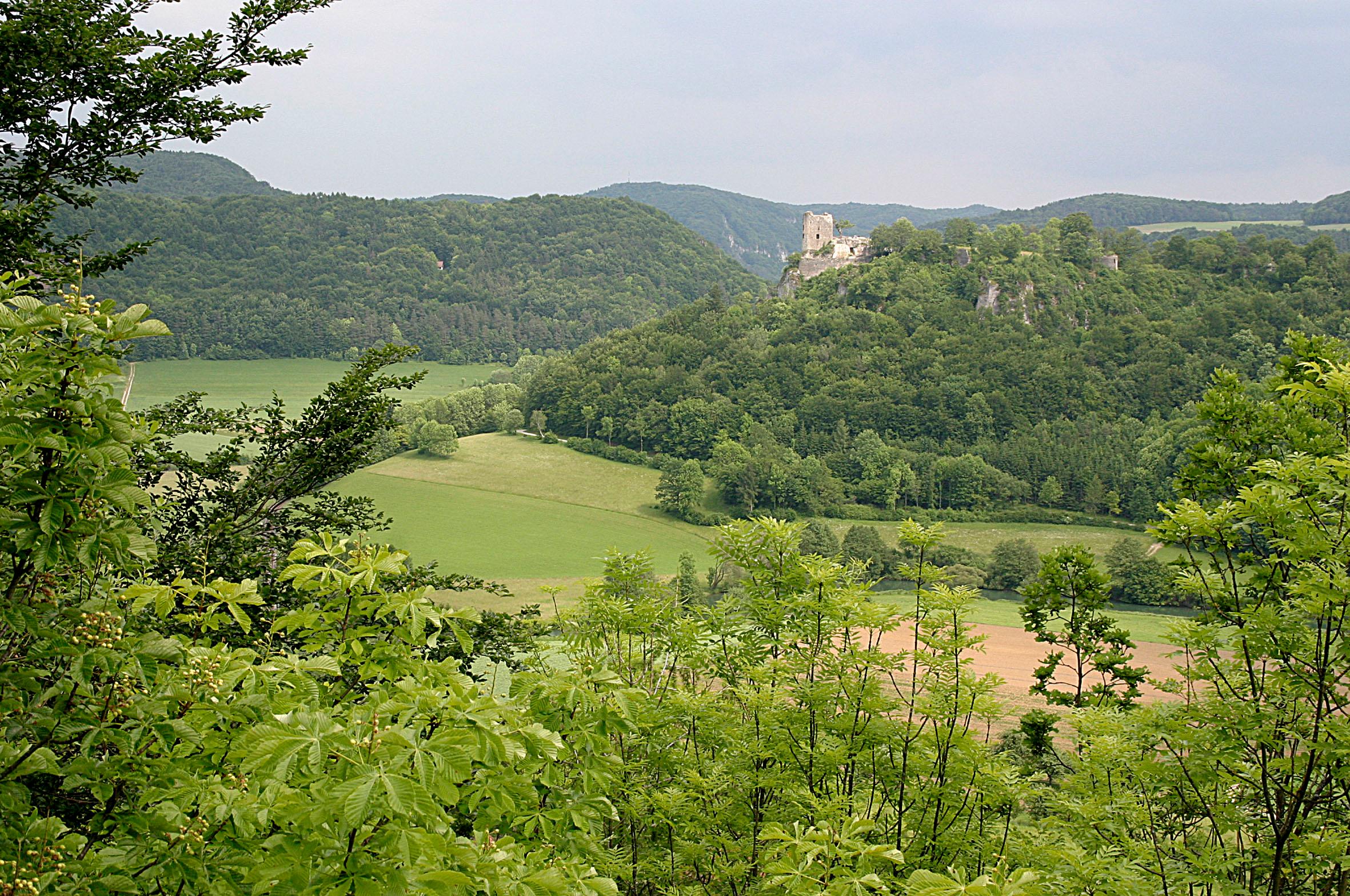 Das Wichtigste über die Ruine Neideck