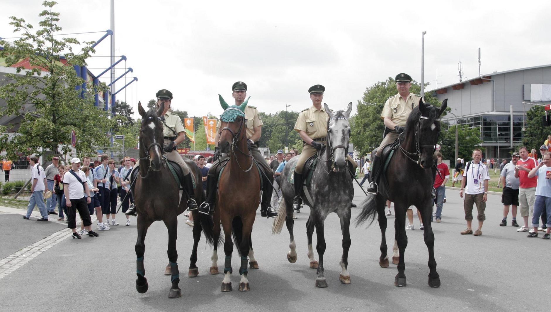 40 Dienstpferde: Reiterstaffel für Nürnberg geplant