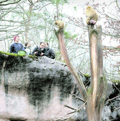 Zoo exklusiv: Nur das ZDF darf filmen