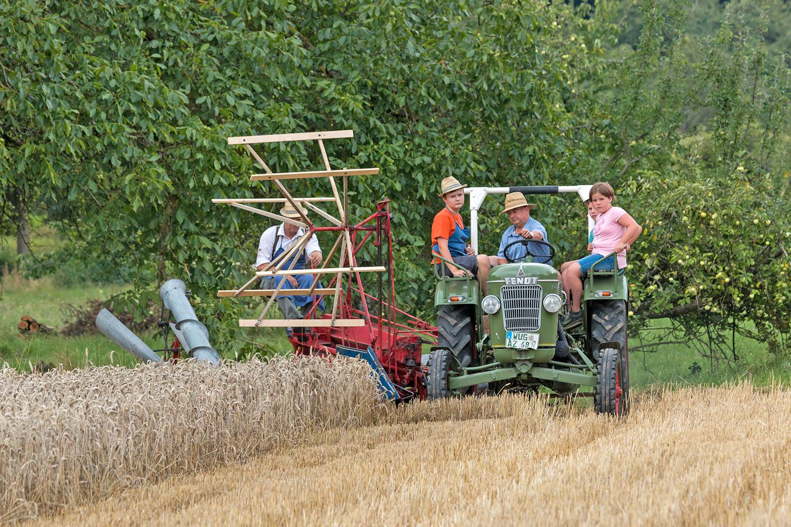Markt Berolzheim: Feldarbeit wie vor 100 Jahren