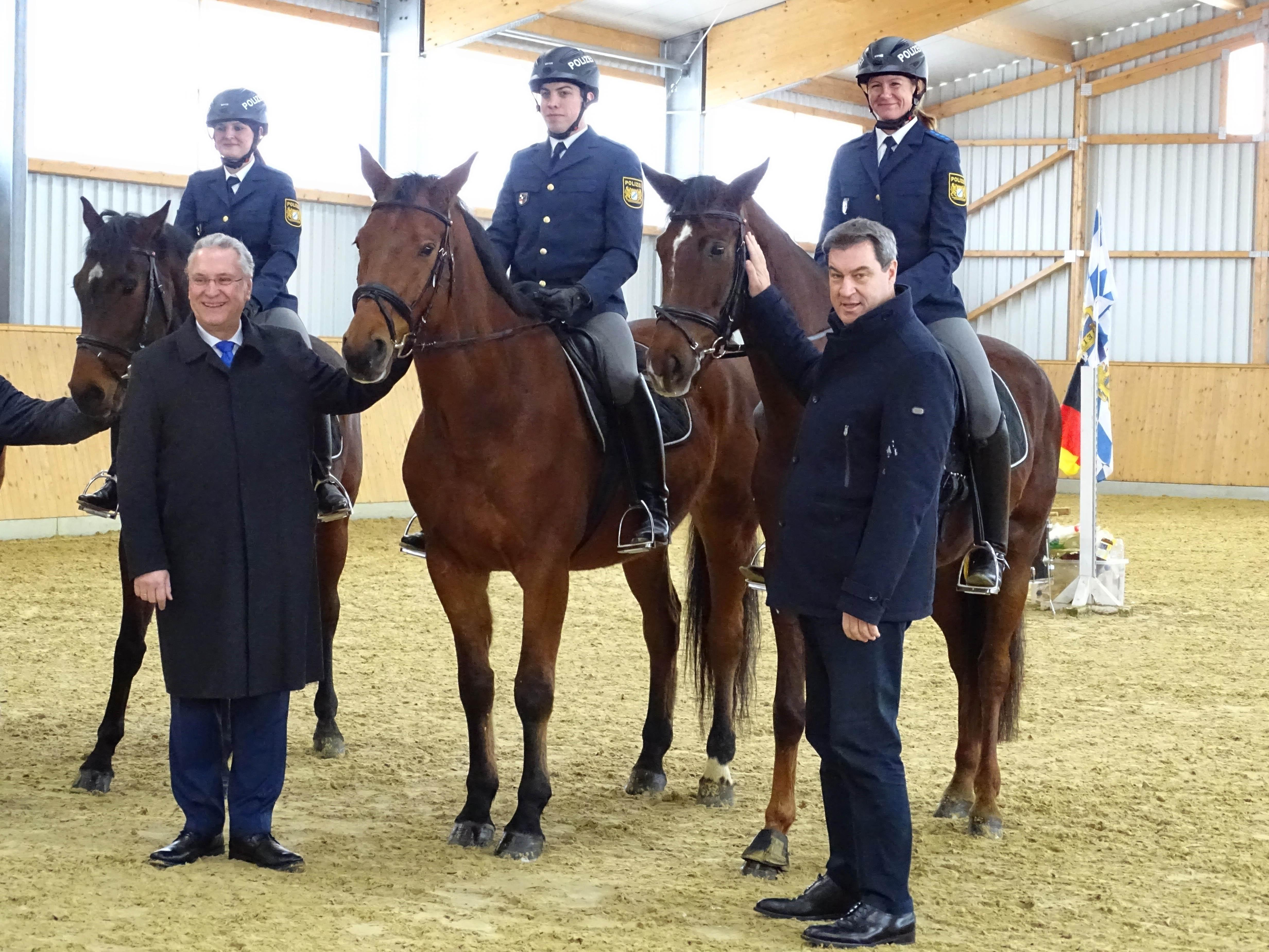 Das sind die ersten Pferde der Reiterstaffel der Polizei Nürnberg