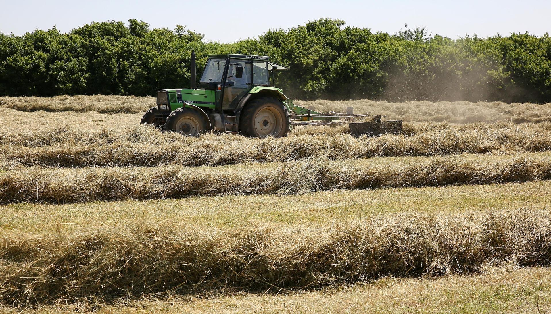 Heuernte wird wieder traditioneller