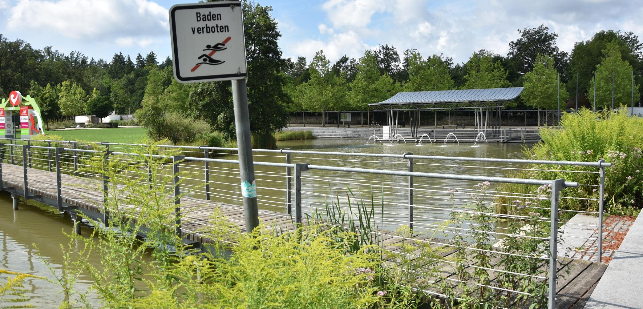 Rother Stadtweiher: Frau von aggressivem Hecht attackiert