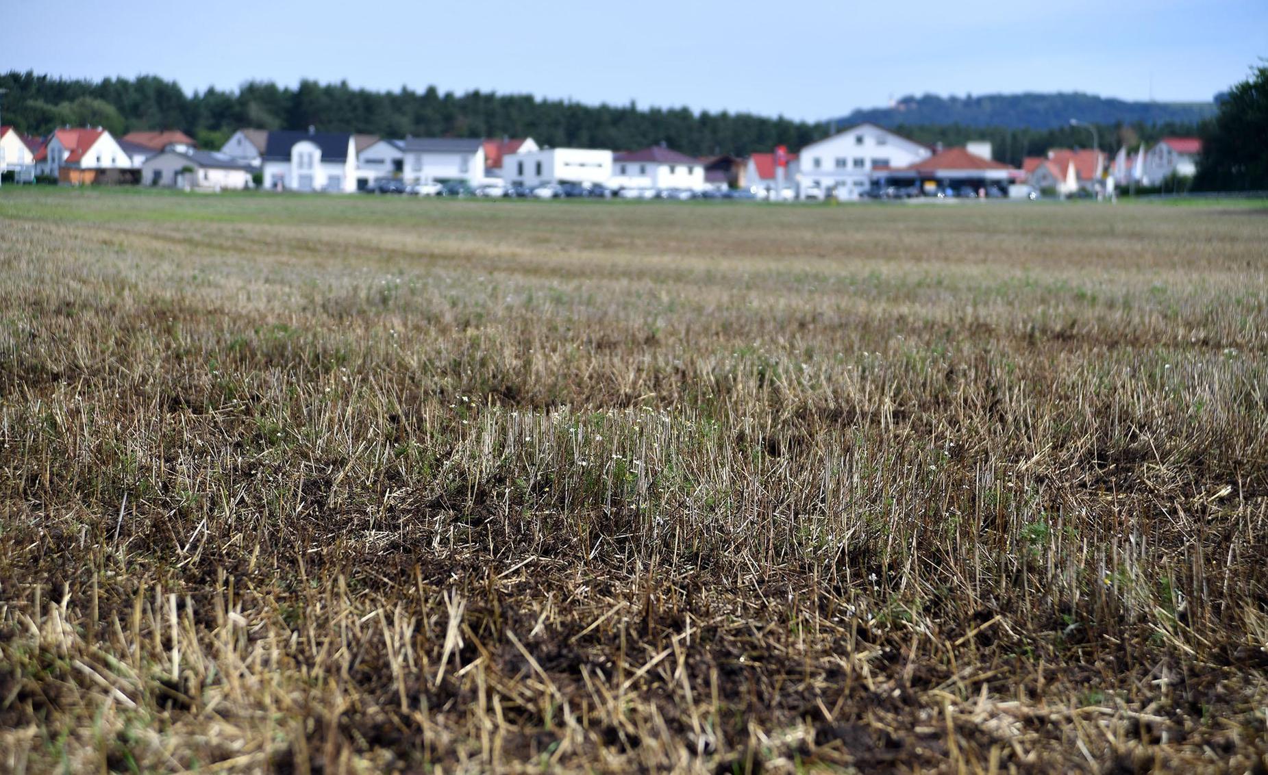 In Sengenthal stinkt der Mist zum Himmel